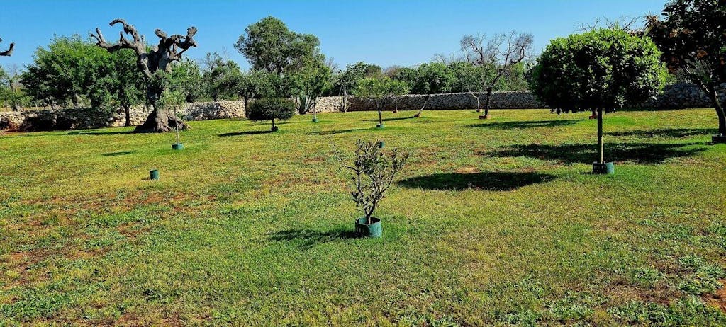 La protezione per la tua pianta firmato Opplant™