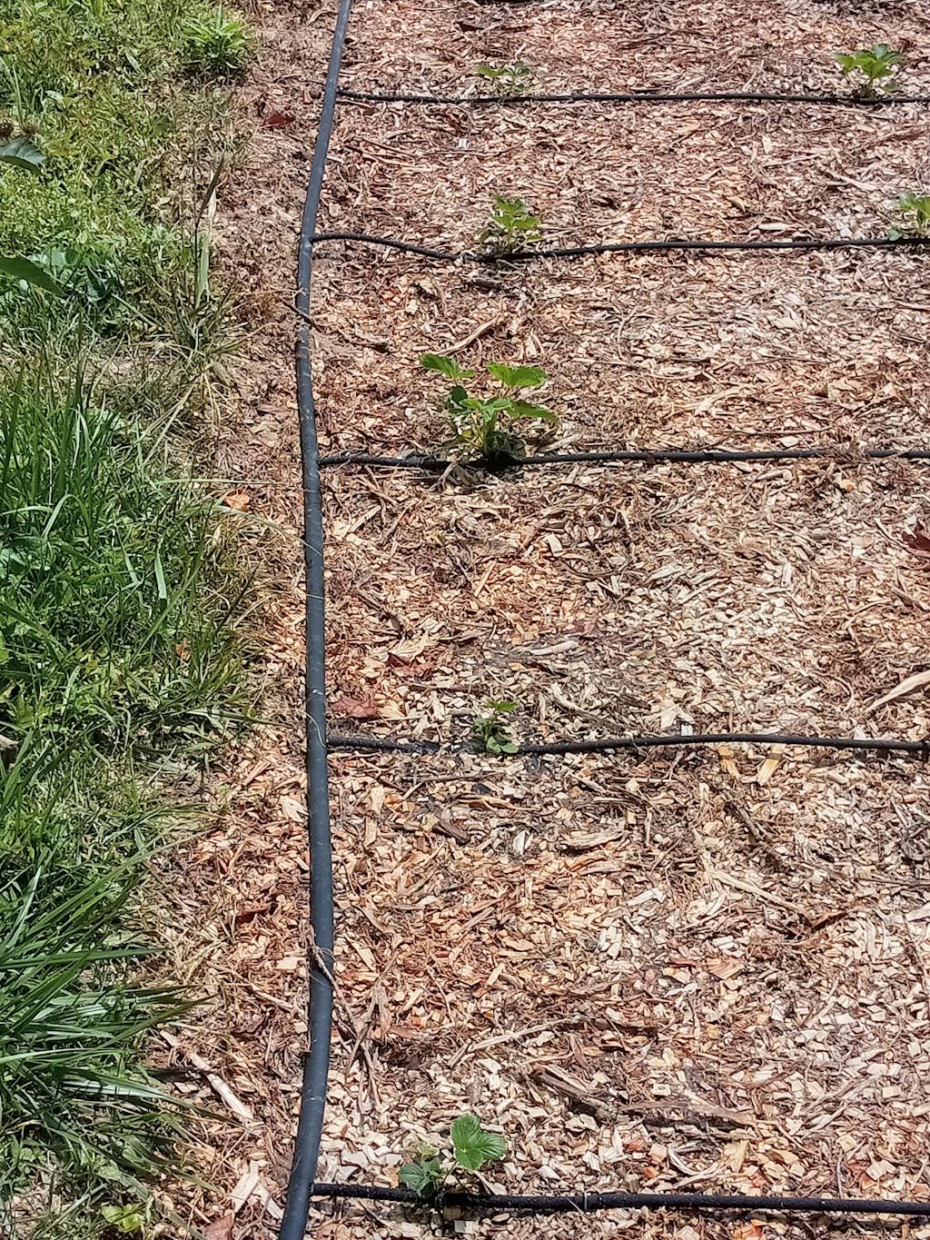 1/4-in. Drip Irrigation Soaker Tubing – OrbitOnline