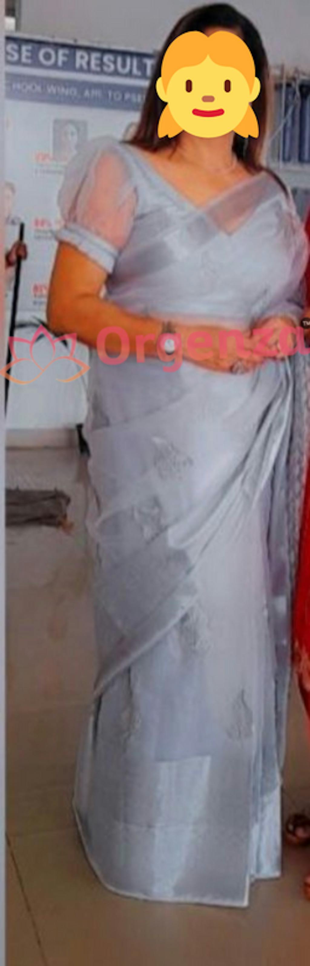 White Silver Organza Weaving Saree – Orgenza Store