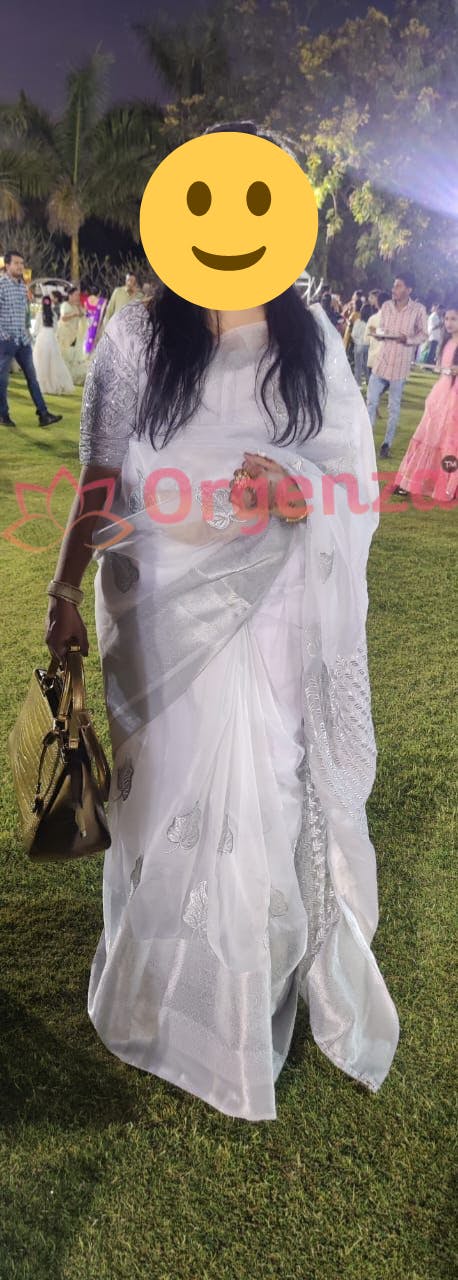 White Silver Organza Weaving Saree – Orgenza Store