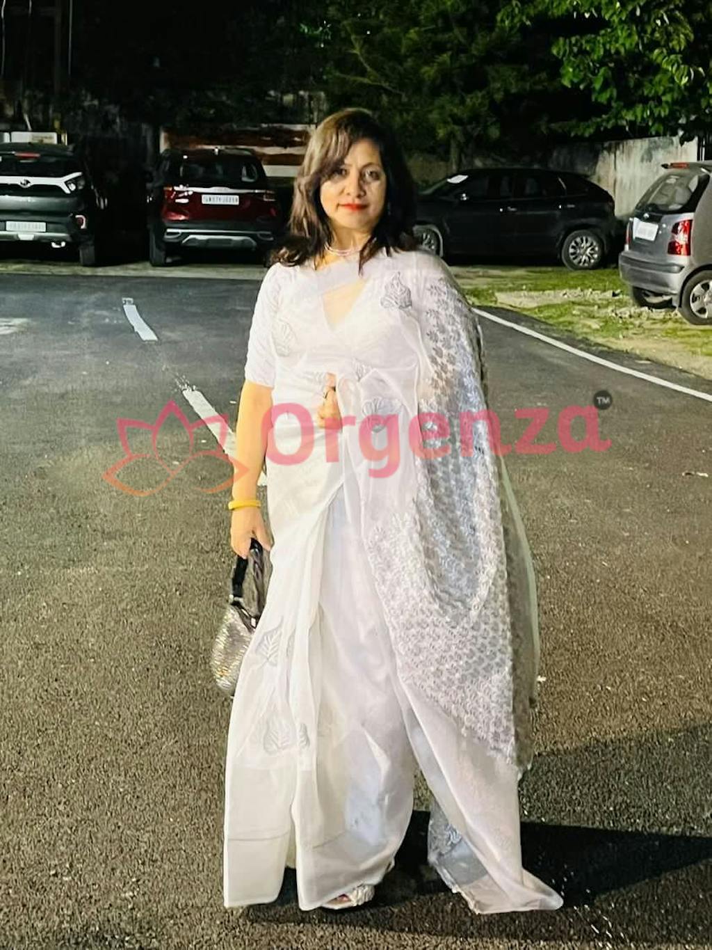 White Silver Organza Weaving Saree – Orgenza Store