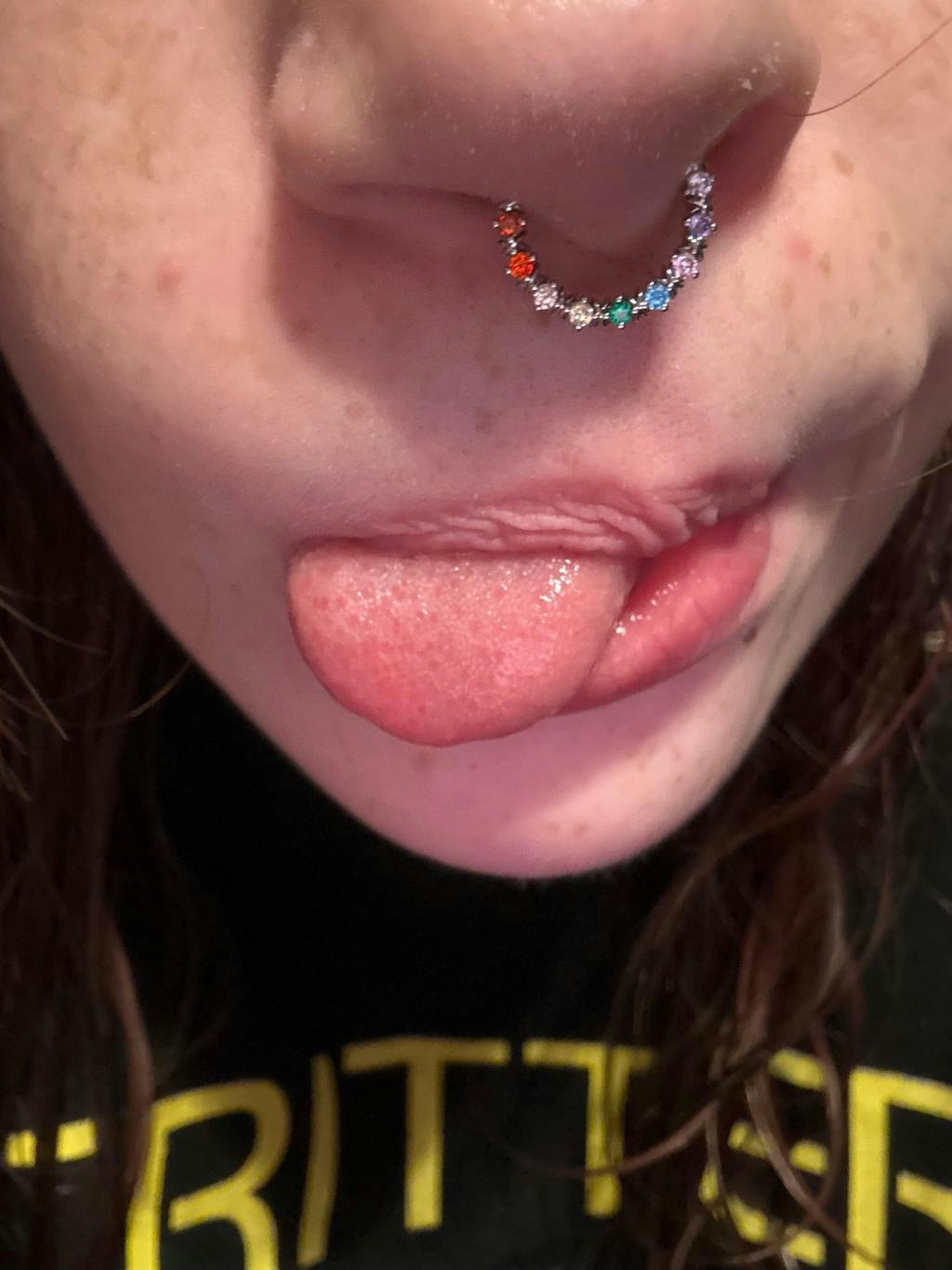 Pretty Septum Rings 16G Colorful Hinged Septum Ring