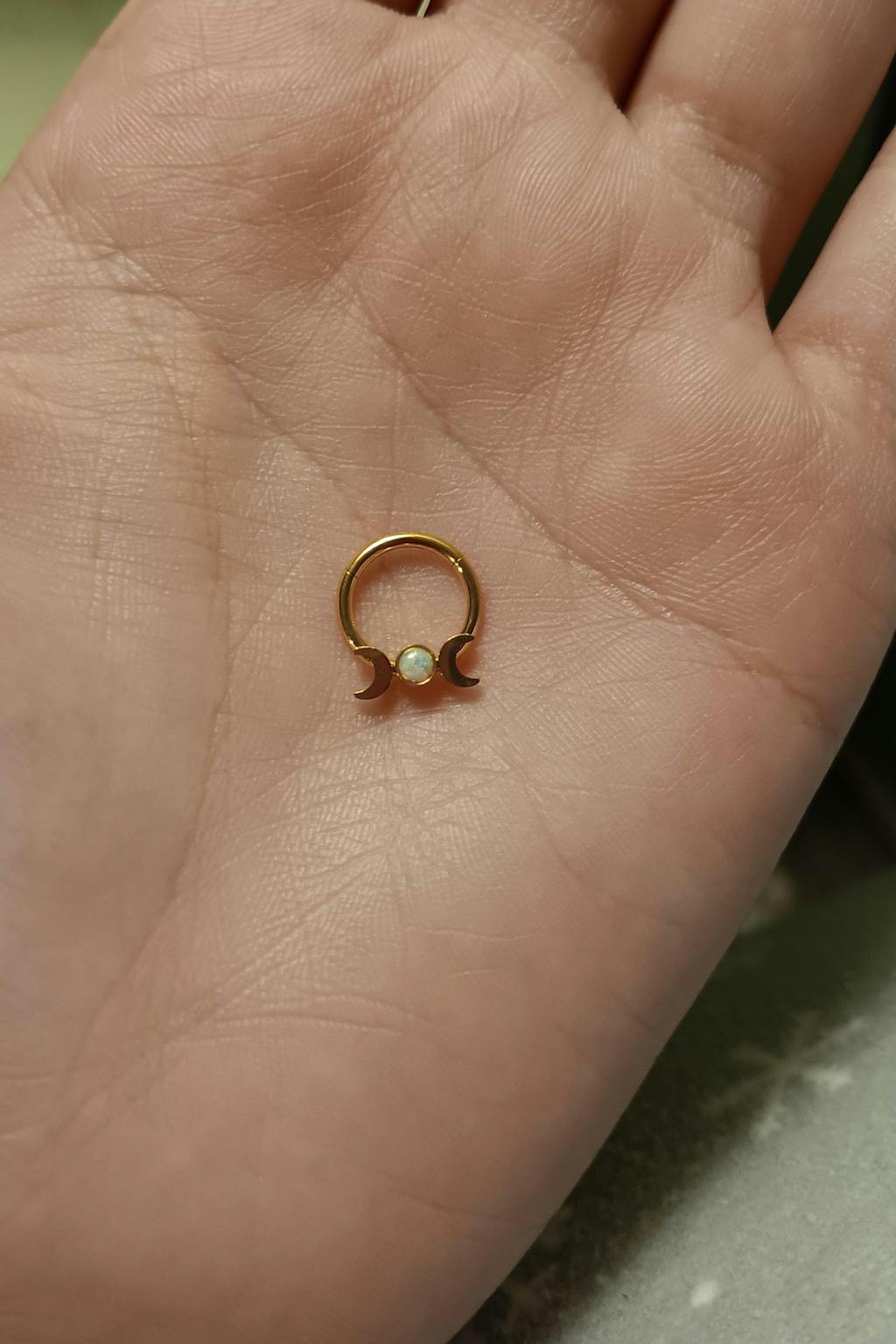 Oufer 16G Moon Phase Septum Ring