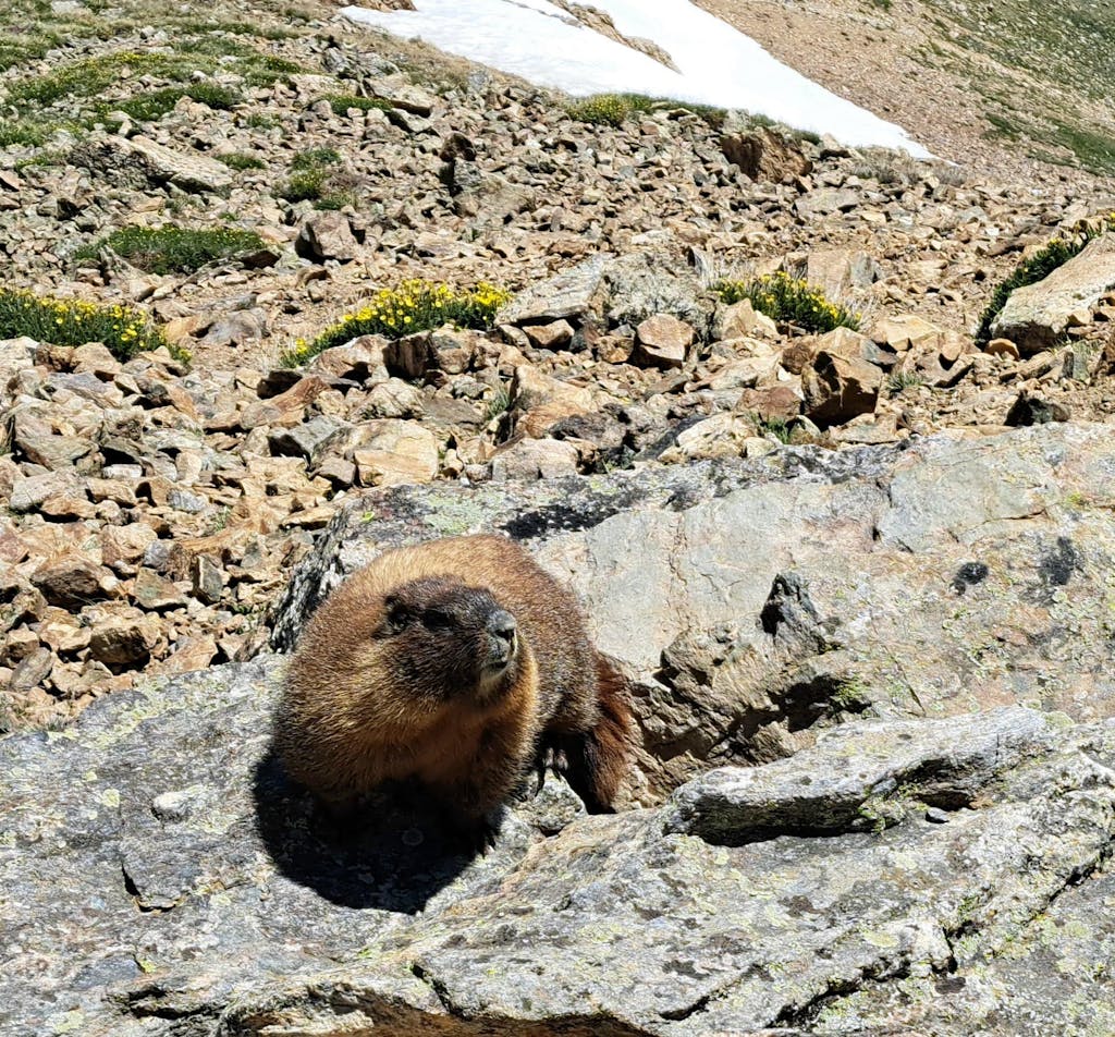 Skyline 30 Fastpack – OutdoorVitals