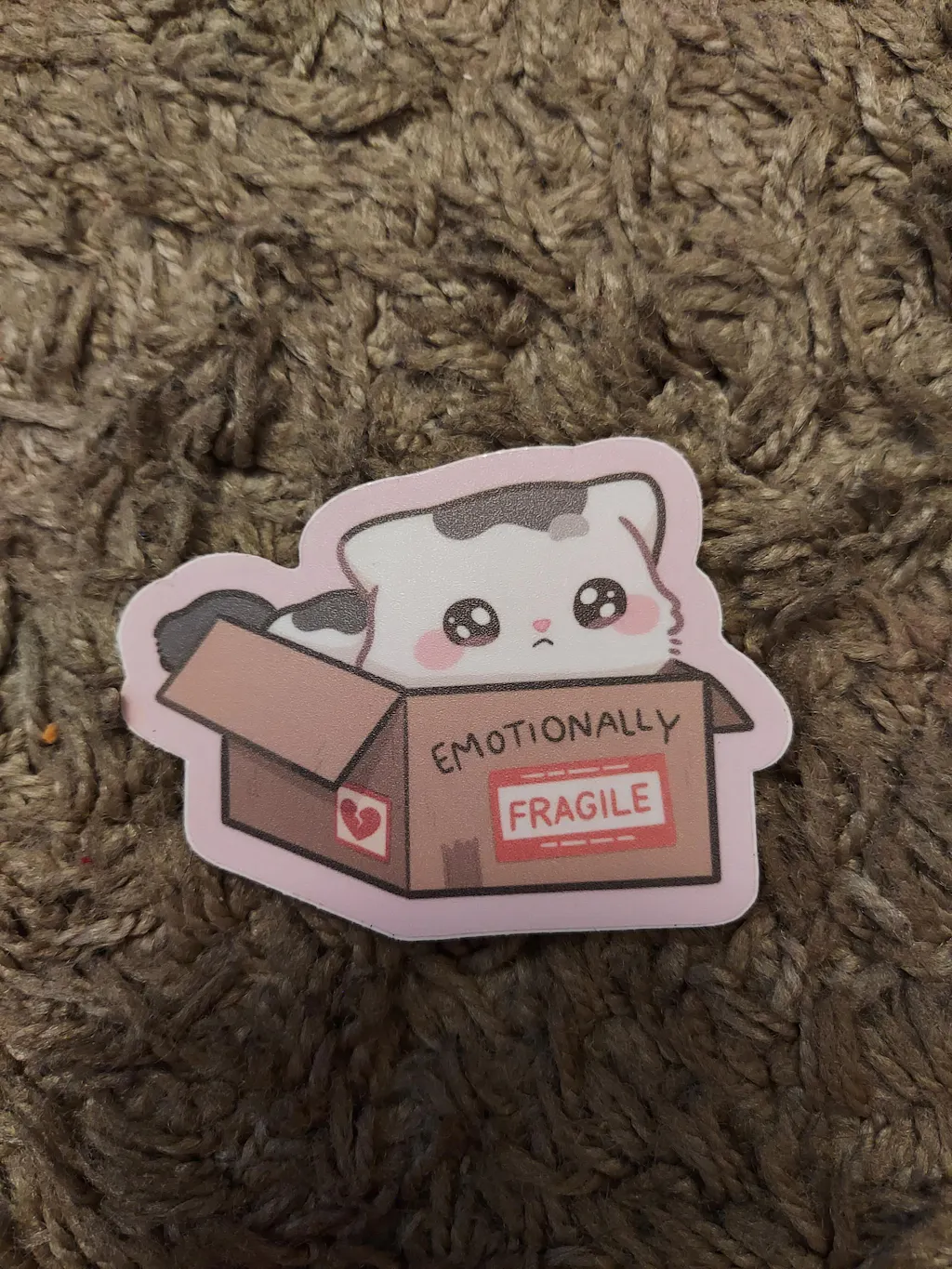 Emotionally Fragile Sticker (waterproof matte) – owloArt