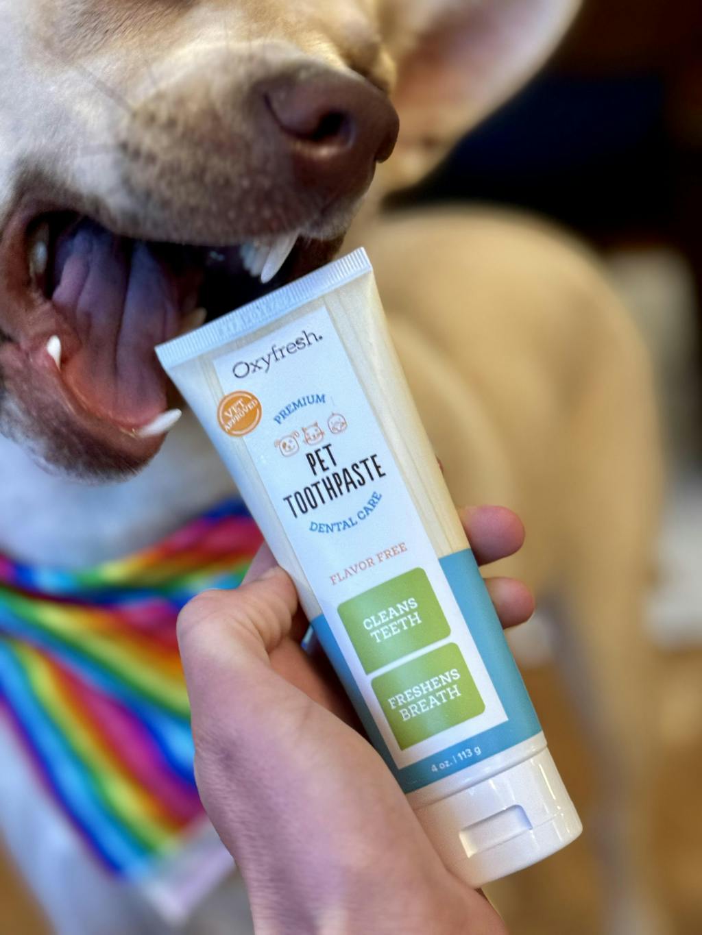 #1 Pet Toothpaste! Pet Parents Love Oxyfresh Dog and Cat Toothpaste to ...
