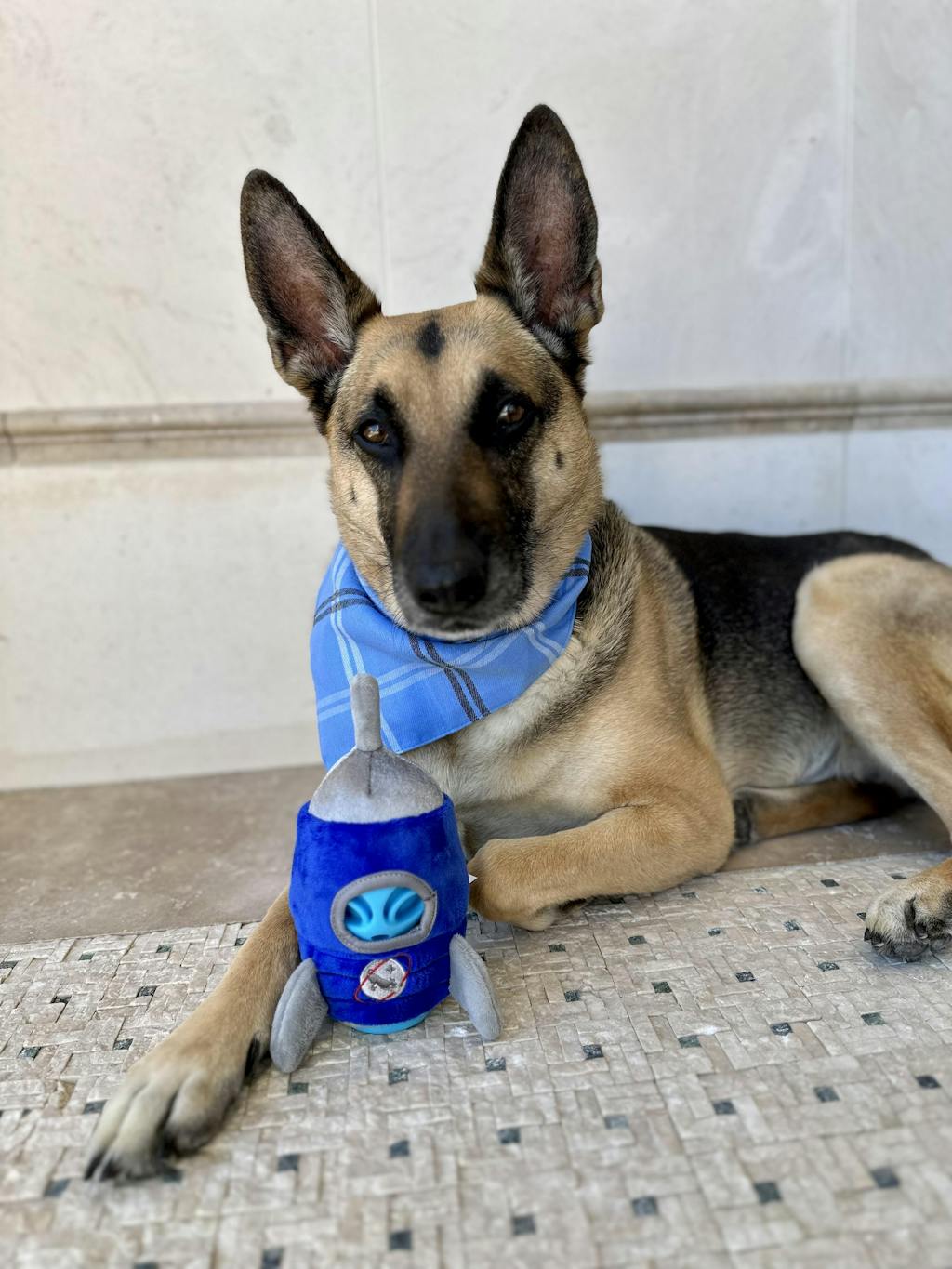 P.L.A.Y. Alien Buddies Astro Explorer Durable Dog Toy