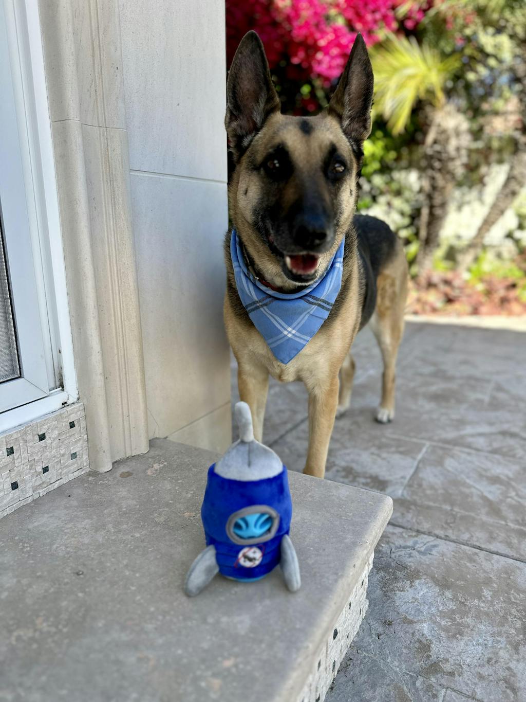 P.L.A.Y. Alien Buddies Astro Explorer Durable Dog Toy