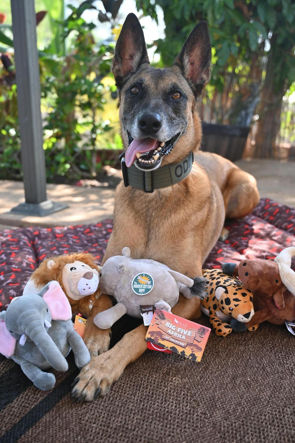 Plush Leopard Dog Toy: Animal Safari Dog Toy by P.L.A.Y.