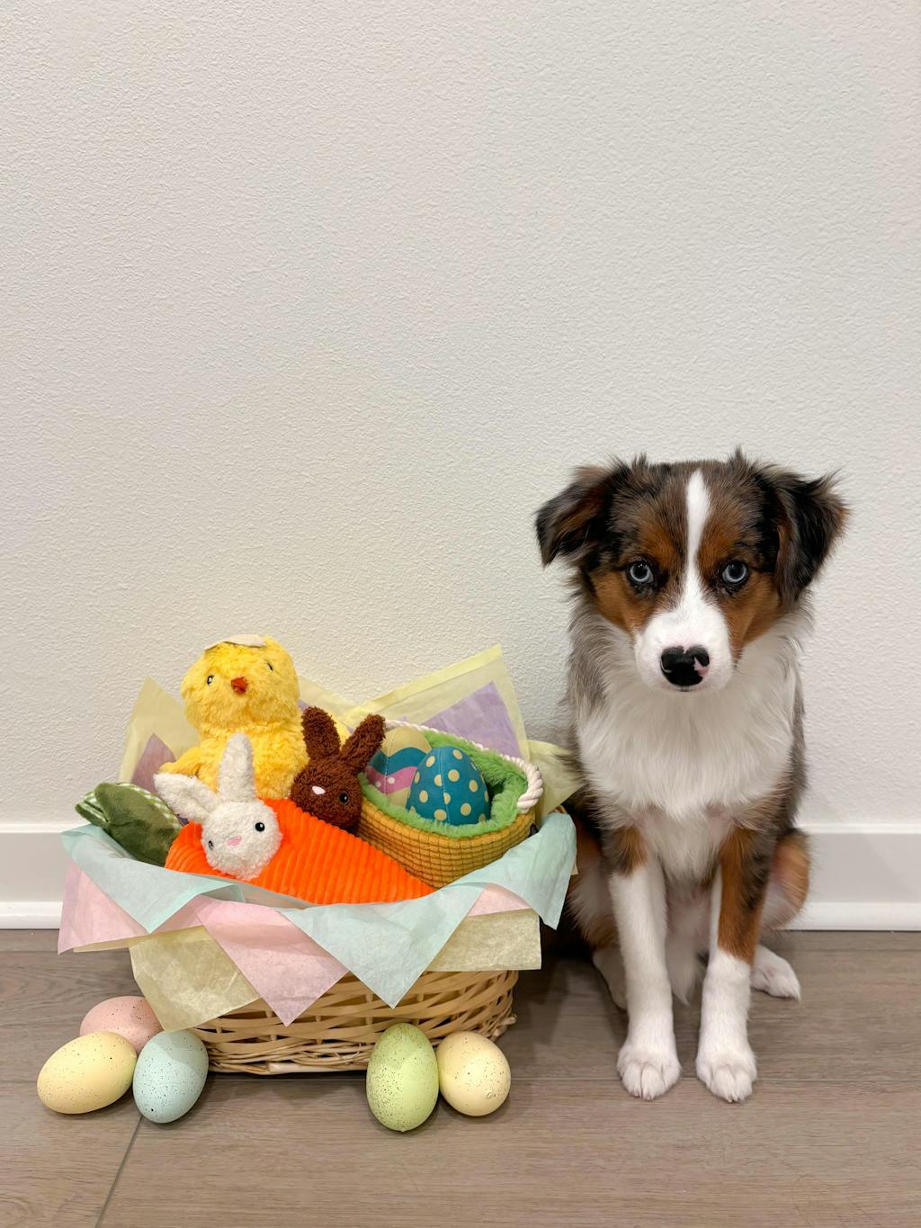 Easter Dog Toys: P.L.A.Y.'s Hippity Hoppity Collection