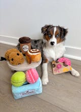 Pup Cup Cafe Cinna-bone: Plush Dog Toy by P.L.A.Y.