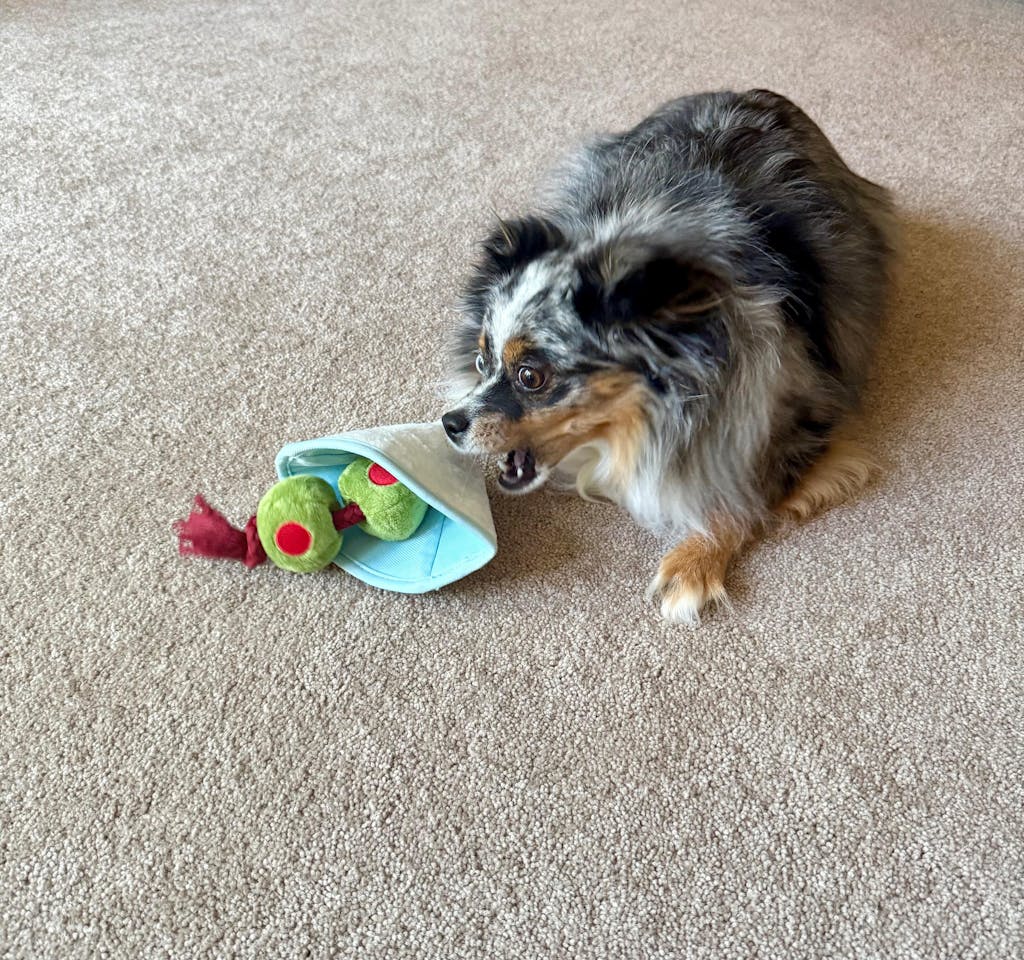 Tiki Time Cocktail Crinkle & Squeaker Dog Toy by P.L.A.Y.