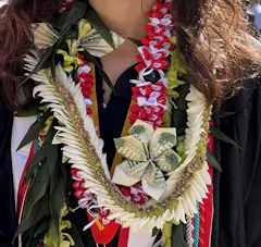 Fresh Hawaiian Orchid Leis delivered Nationwide. Lowest prices!