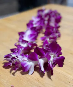 Fresh Hawaiian Orchid Leis delivered Nationwide. Lowest prices!