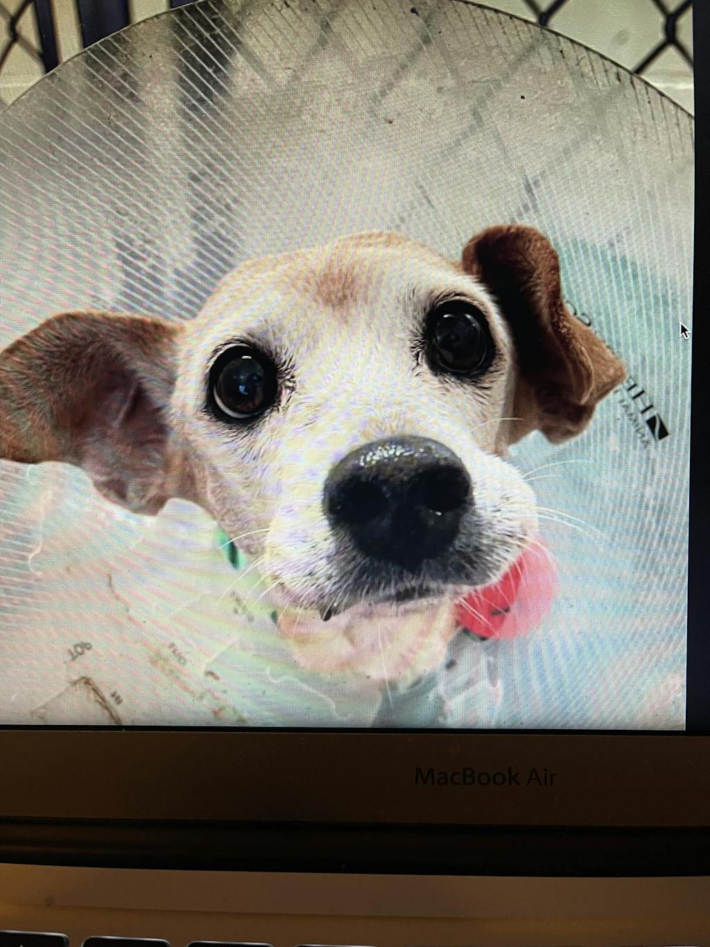 Rectangular LED Trailer Clearance, Side Marker Light, 3 diode-amber #CL ...