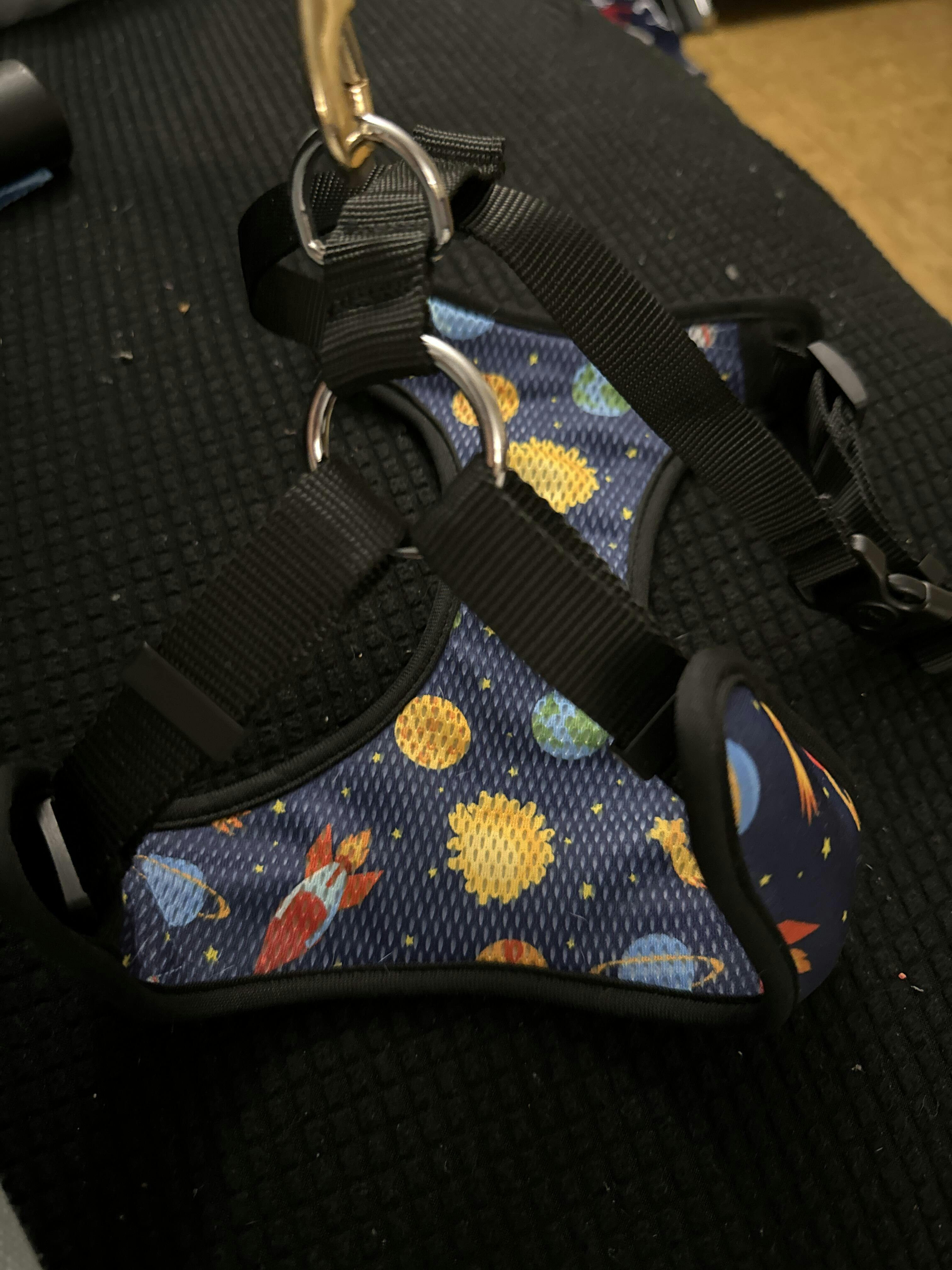 Rose // Belle Reversible Dog Harness - Pack Leashes