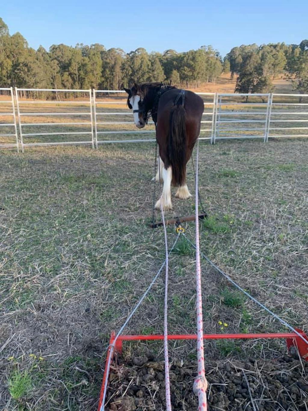 Australia’s #1 Paddock Cleaner | Fast, Easy & Aussie-Made – Paddock ...
