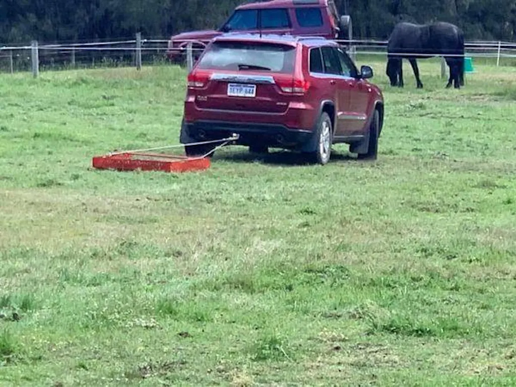 Your Complete and Easy Guide to Raising a Strong Foal – Paddock Blade ...