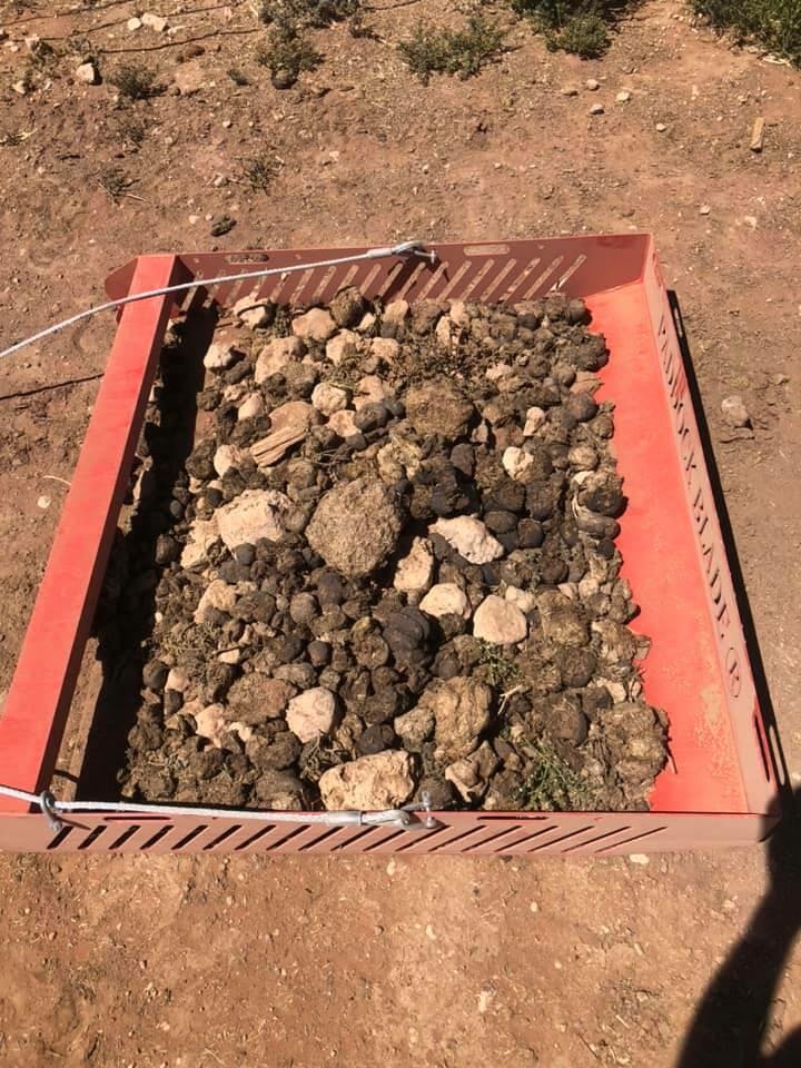 Horse Manure Removal Equipment | Paddock Blade USA Shop