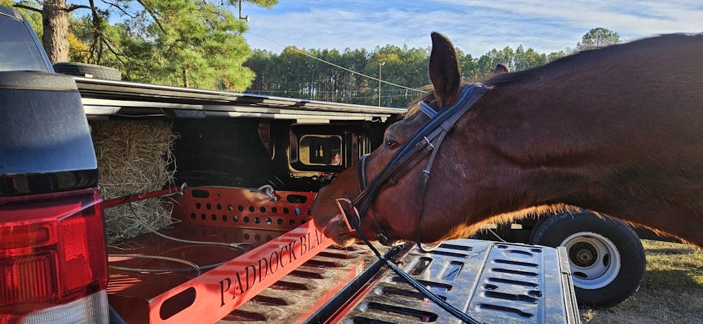 Pasture Cleaning Made Easy | Paddock Blade Manure Collector – Paddock ...