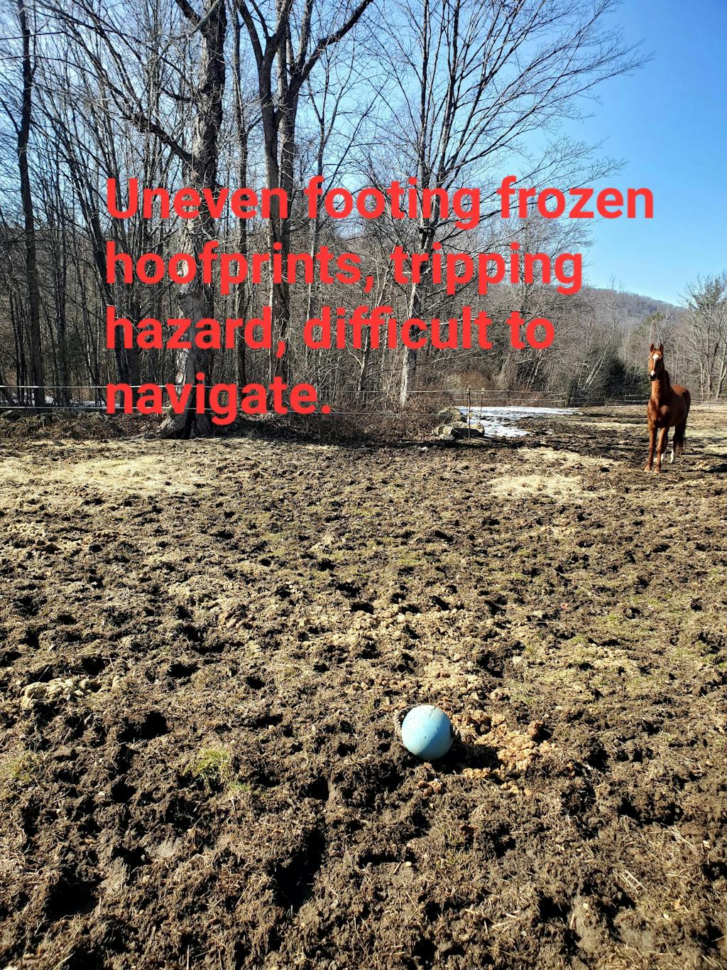 Pasture Cleaning Made Easy | Paddock Blade Manure Collector – Paddock ...