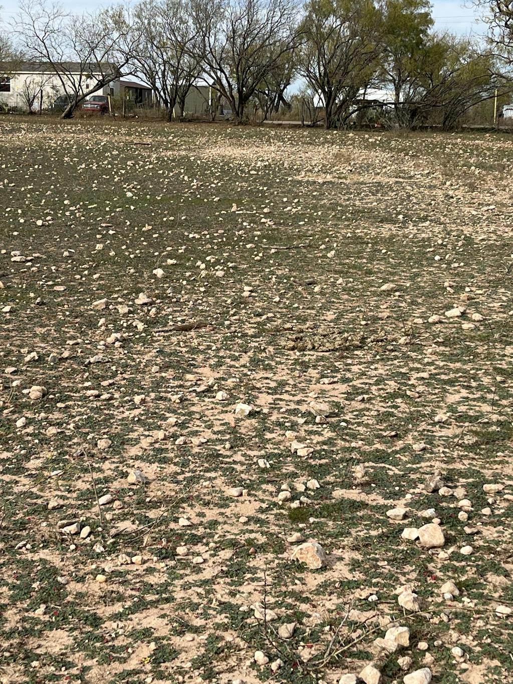 Horse Manure Removal Equipment | Paddock Blade USA Shop