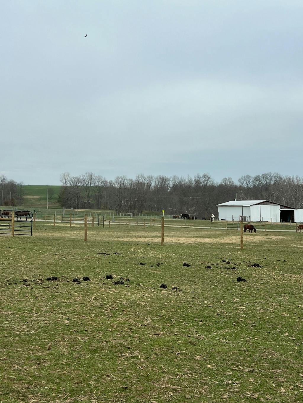 North America’s #1 Paddock Cleaner | Fast, Easy & Made in US & Canada ...