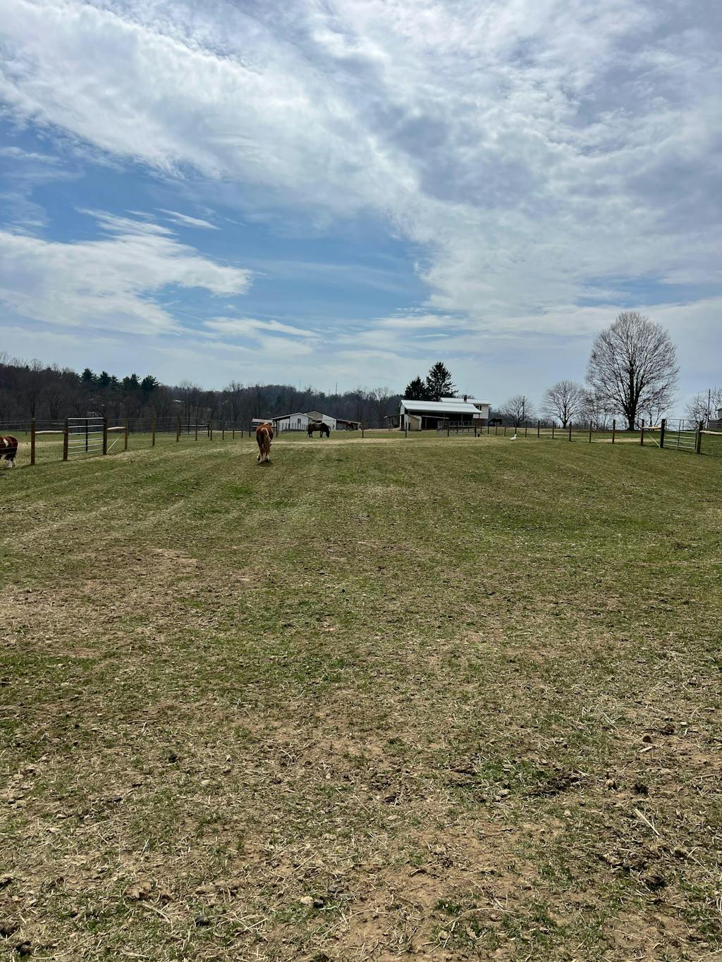 North America’s #1 Paddock Cleaner | Fast, Easy & Made in US & Canada ...