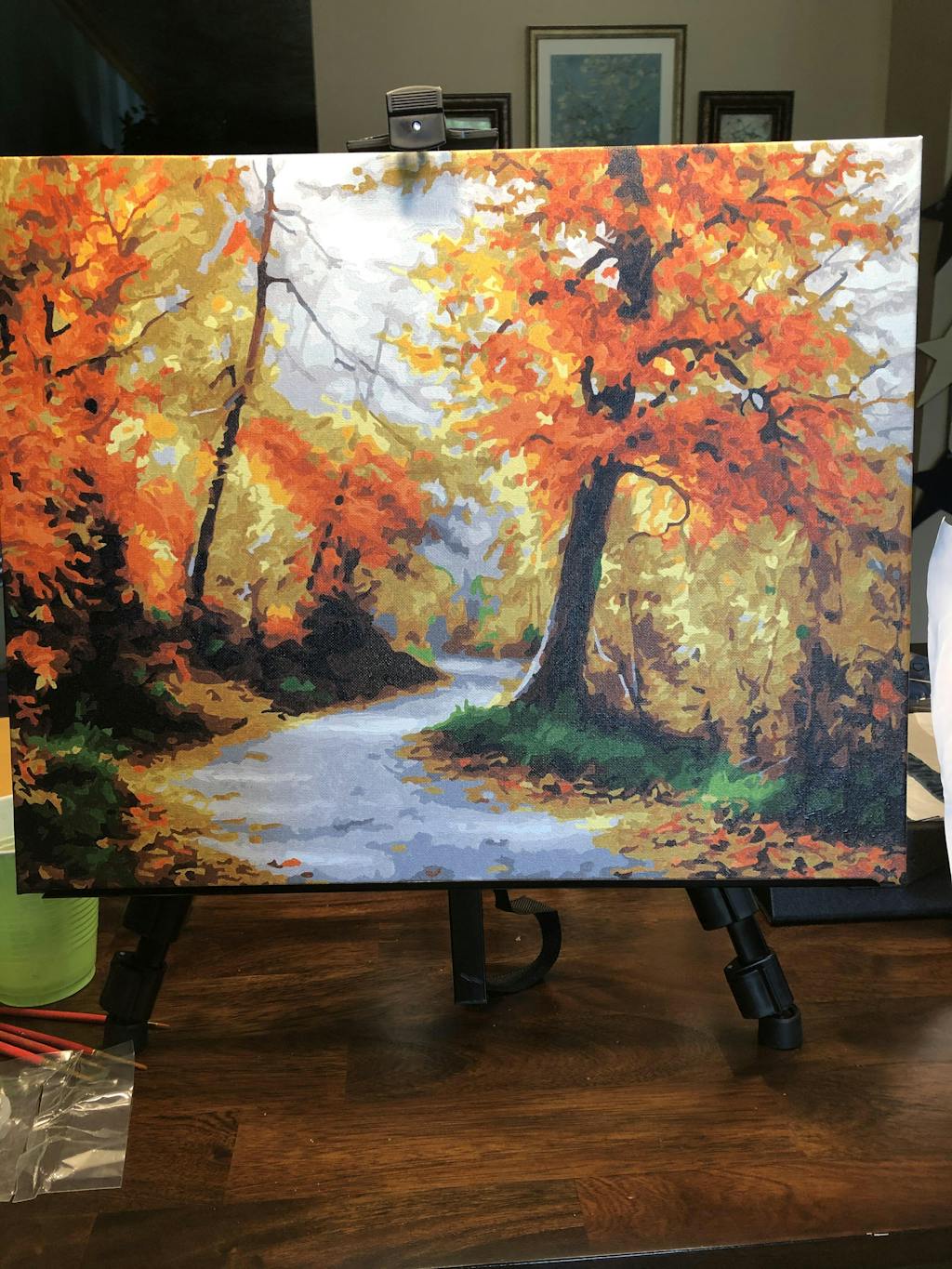 Autumn Forest Paint-by-Numbers Kit | Scenic Display | Paint Vibe