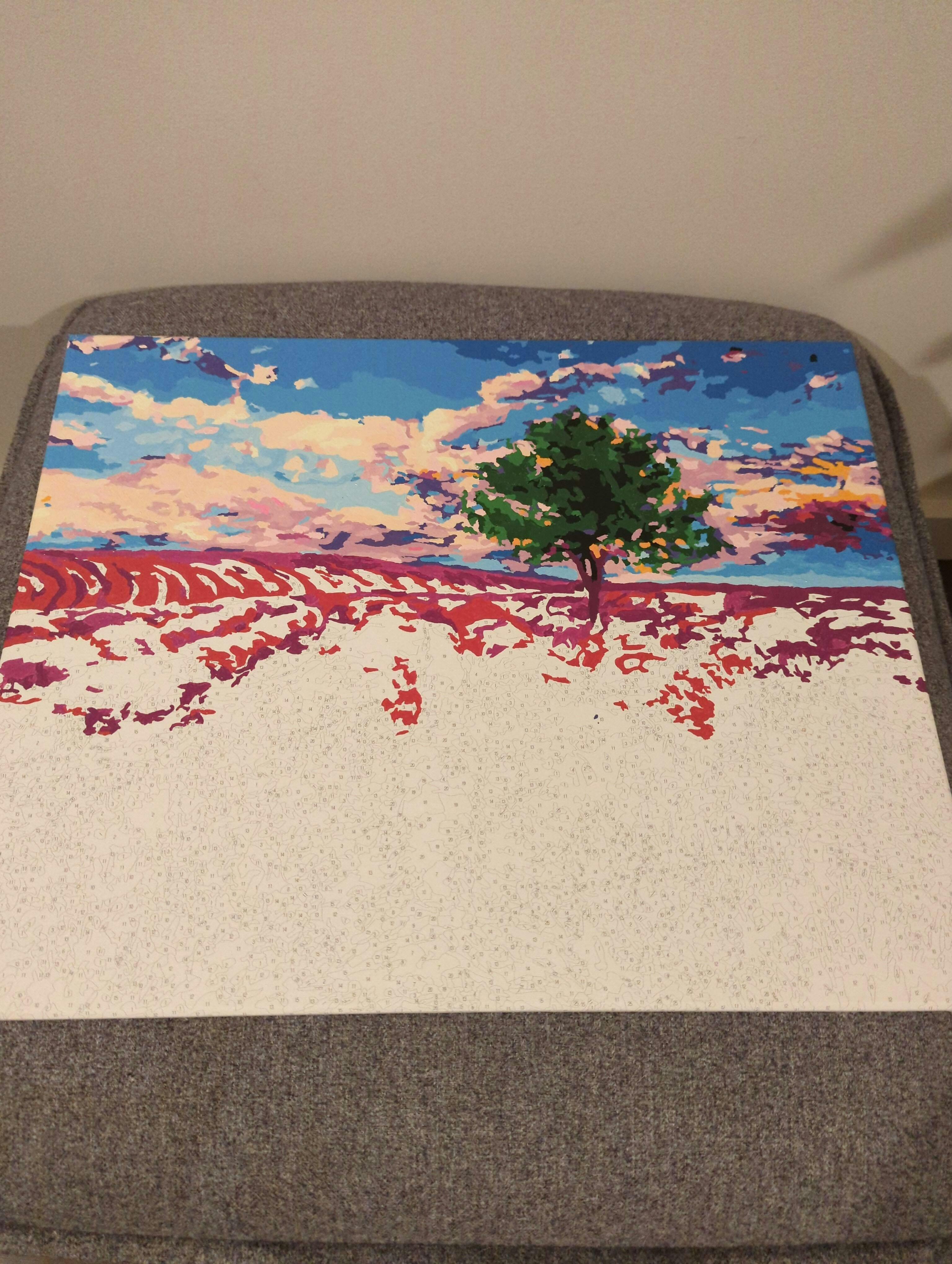 Lavender fields of Provence - Paint Vibe