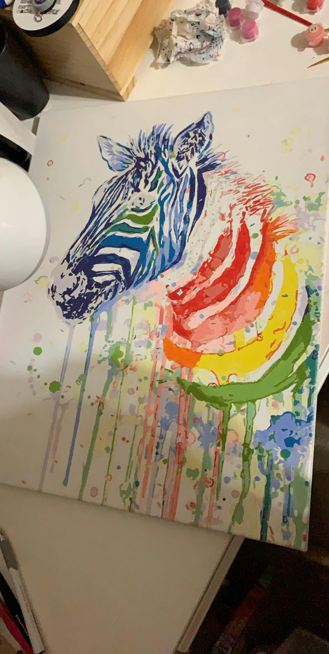 Rainbow Zebra - Paint Vibe