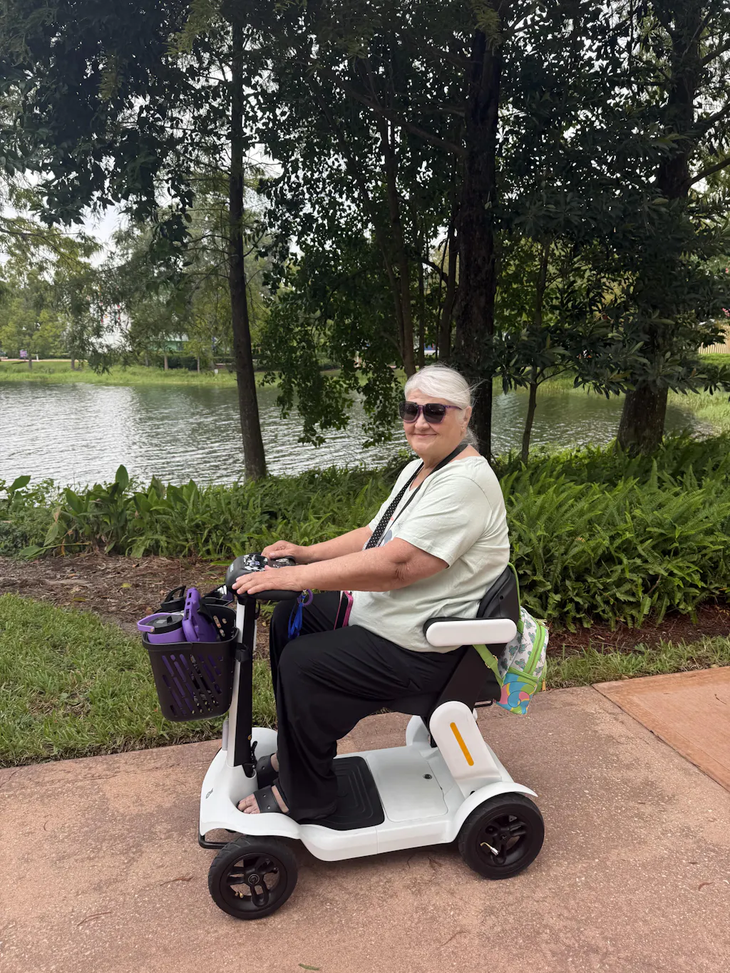 Handicap Scooters & Senior Scooter & 4 Wheel Scooter