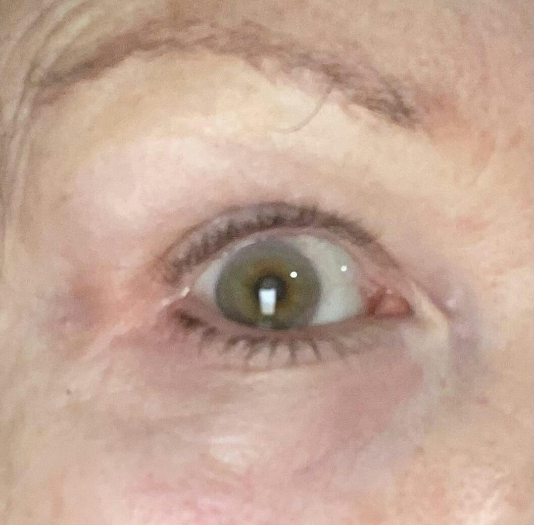 Pals Skin Lab. High Active Skin Care for All Skin Types and Concerns.