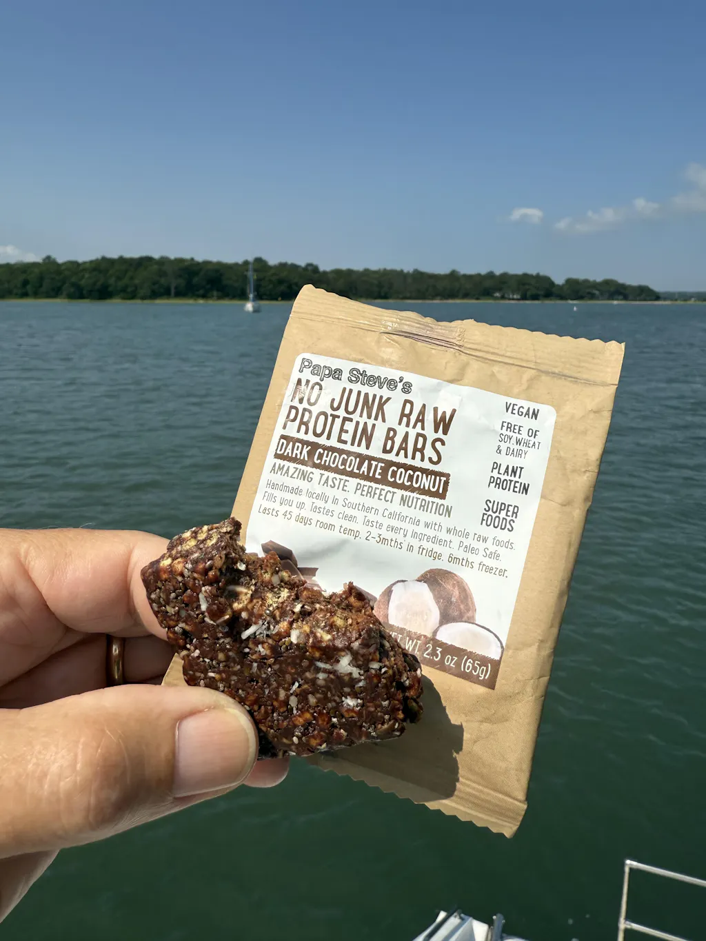 Dark Chocolate Coconut Raw/ Vegan/ Protein Bar (Pack of 10) – Papa ...