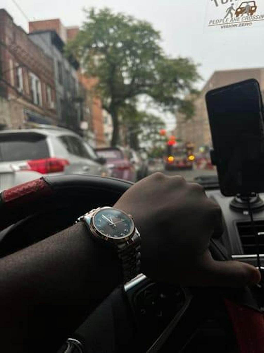 Timeless Classic Diamond Watch: Cocoa Brown Watch | PASCAL