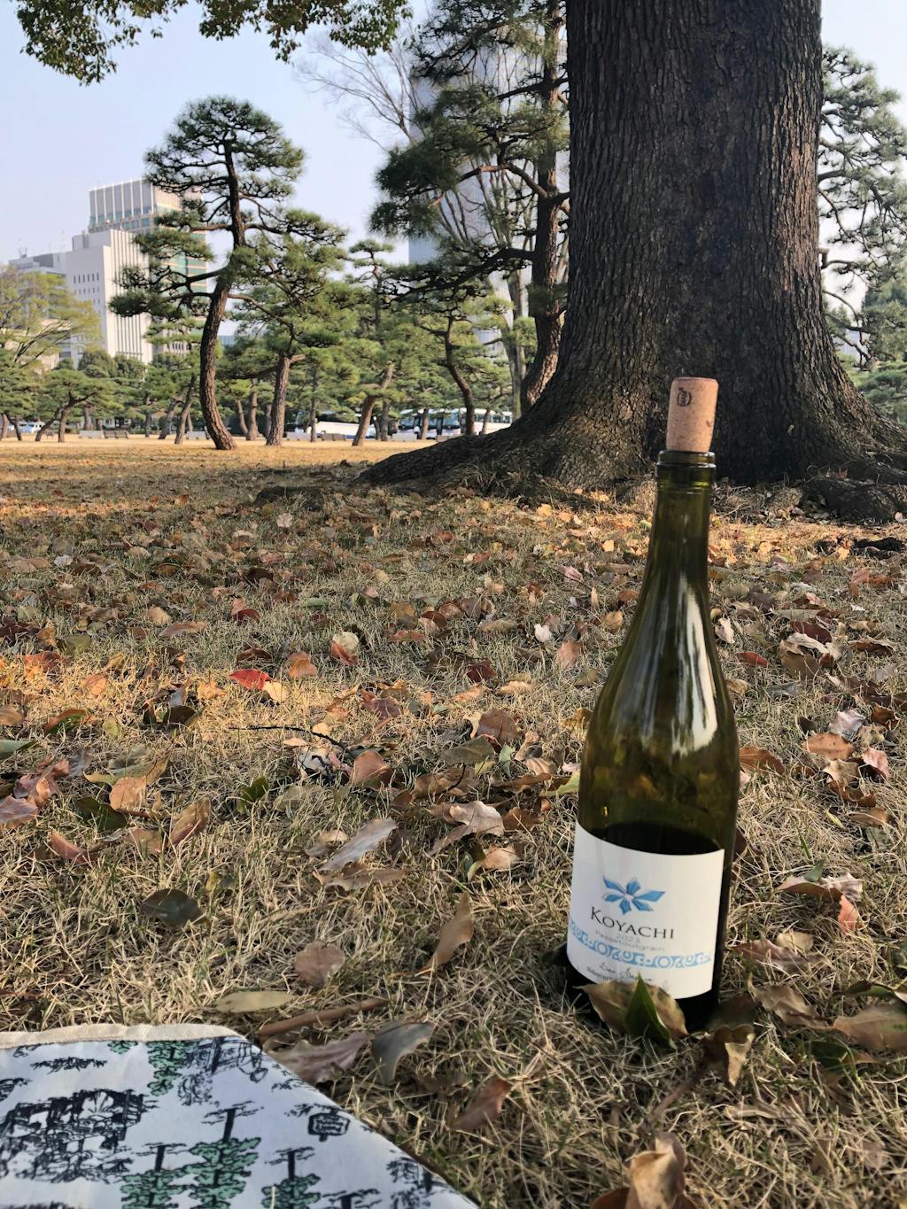 [日本ワイン]ラン セッカ KOYACHI パストゥグラン 2023 赤 750ml – ナチュラルワイン専門オンラインショップ ...