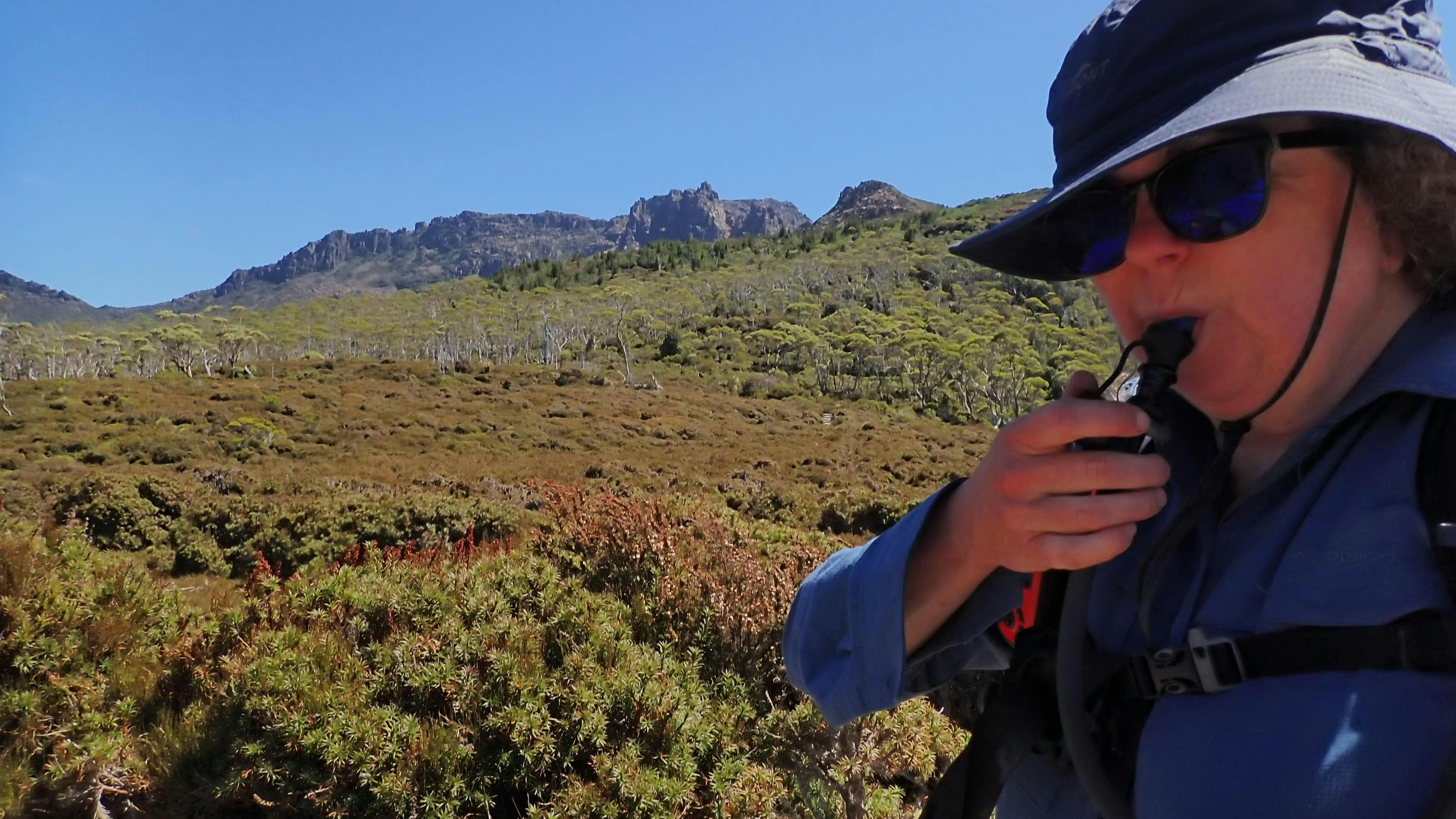 Hardside Hydration Wide Mouth Nalgene Swig Rig