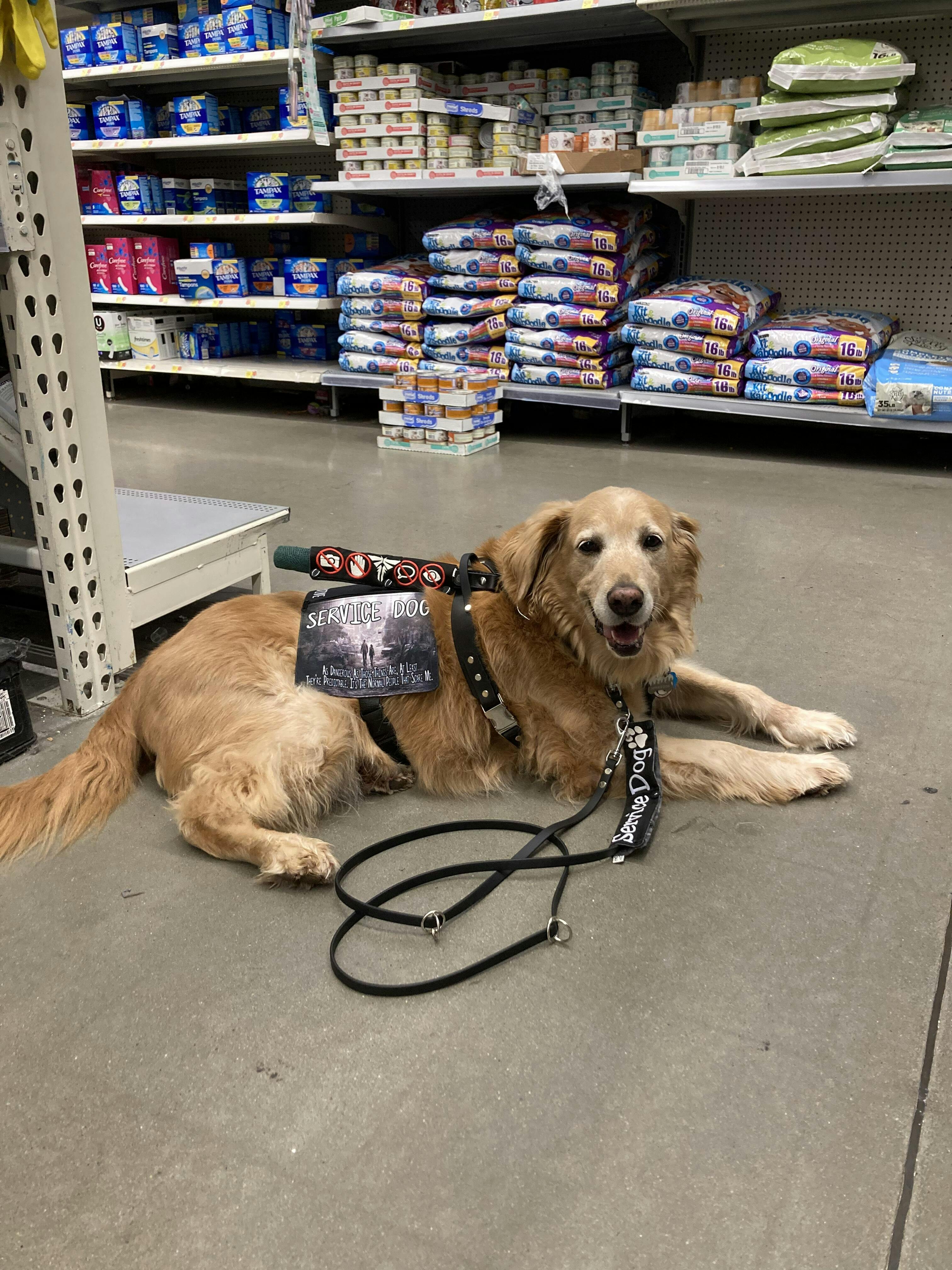 Custom embroidered 1 line of text, Leash sleeve – PatienceandLove143