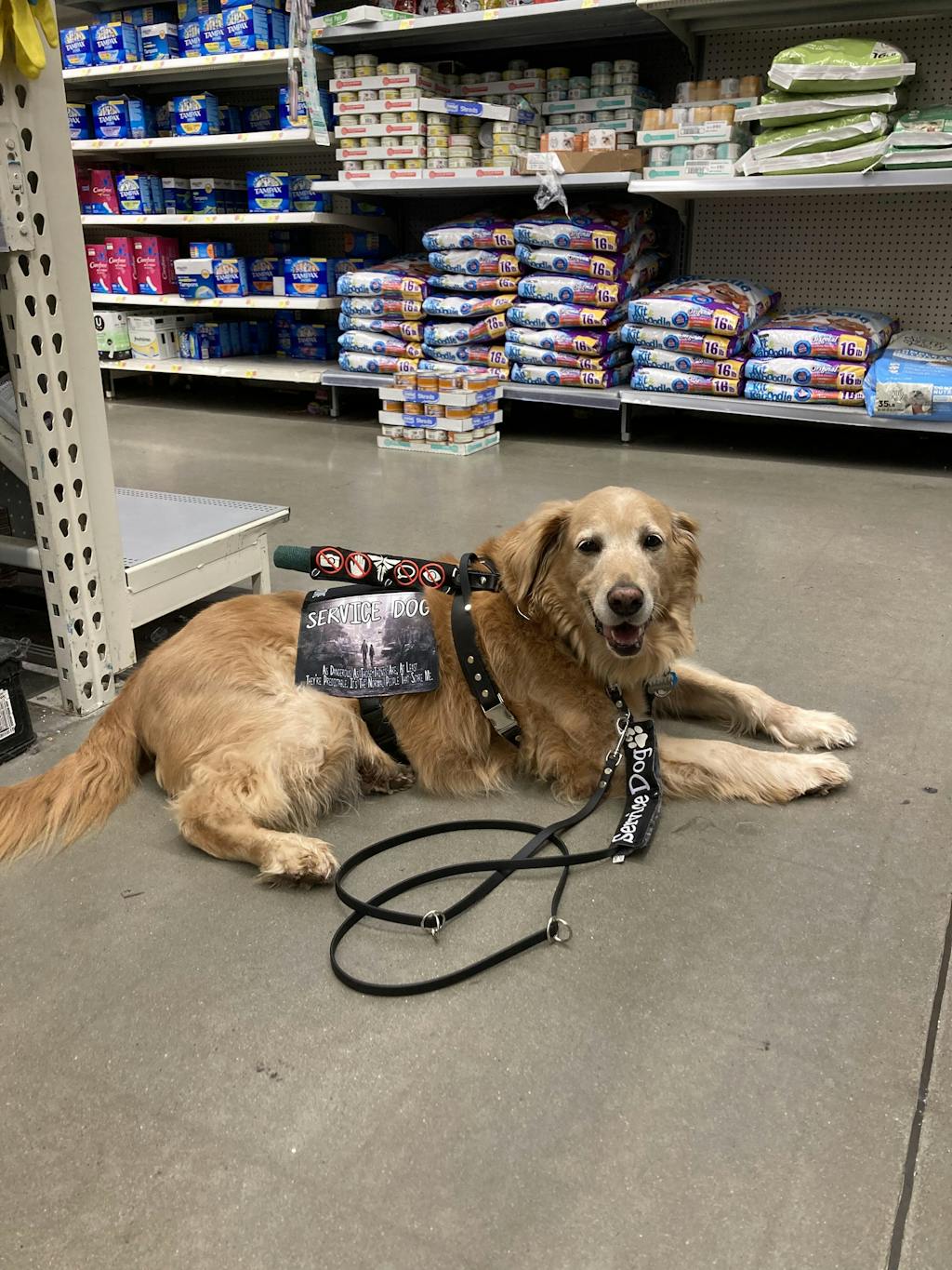 Custom embroidered 1 line of text, Leash sleeve – PatienceandLove143