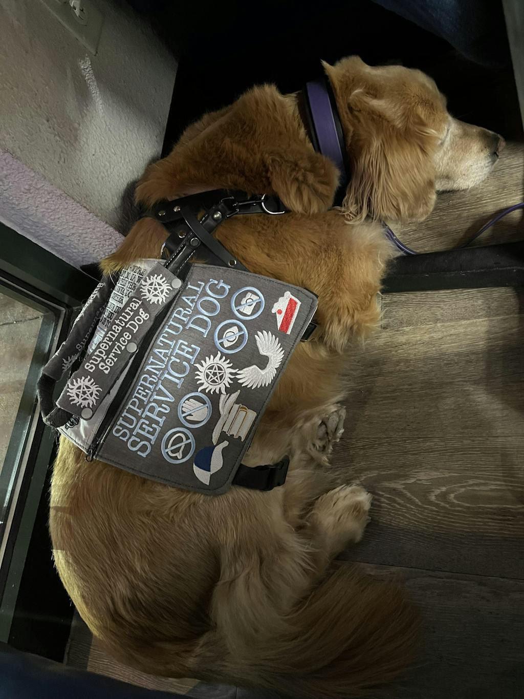 Vests – PatienceandLove143