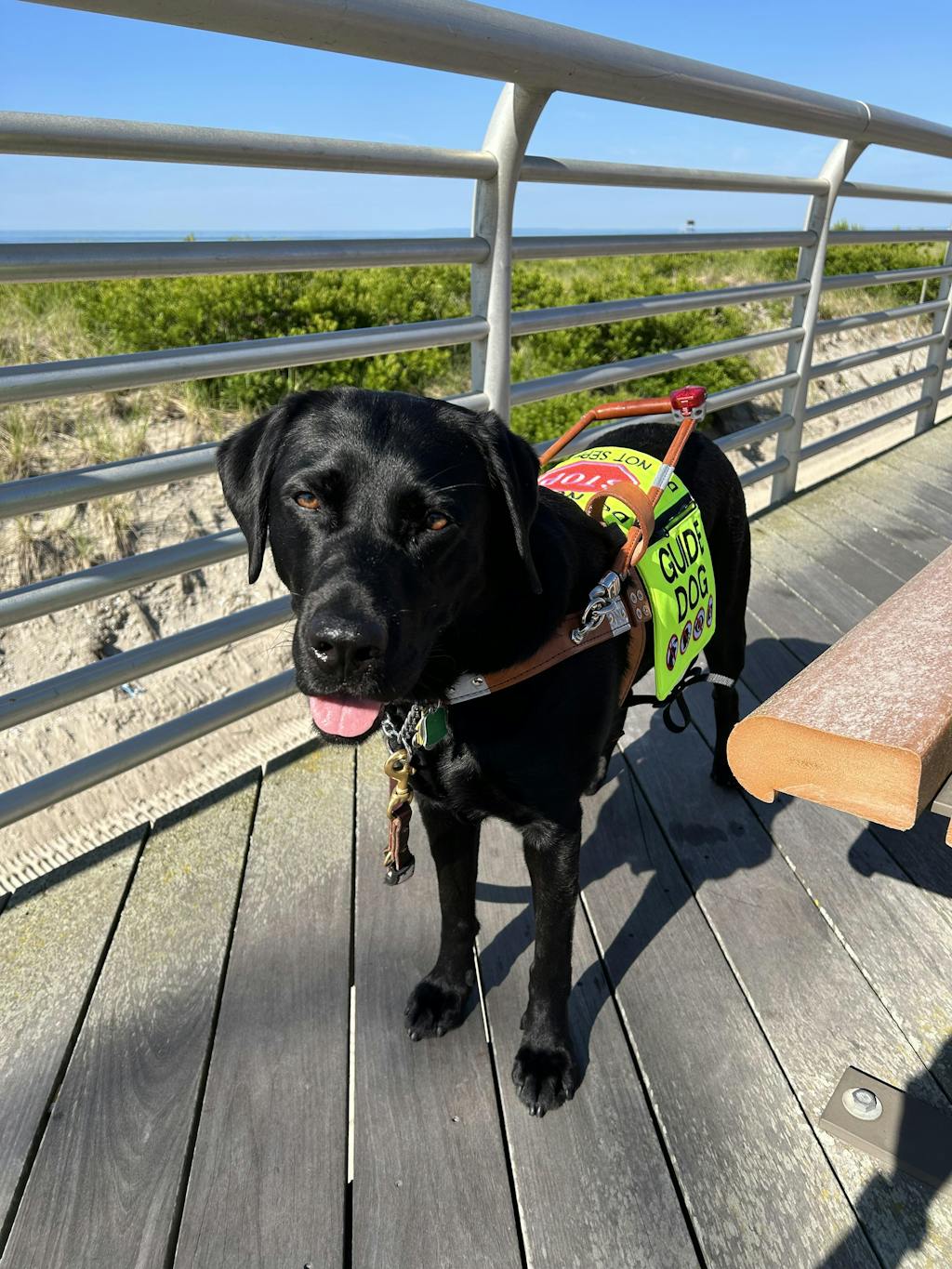 Cape Custom Embroidered – PatienceandLove143