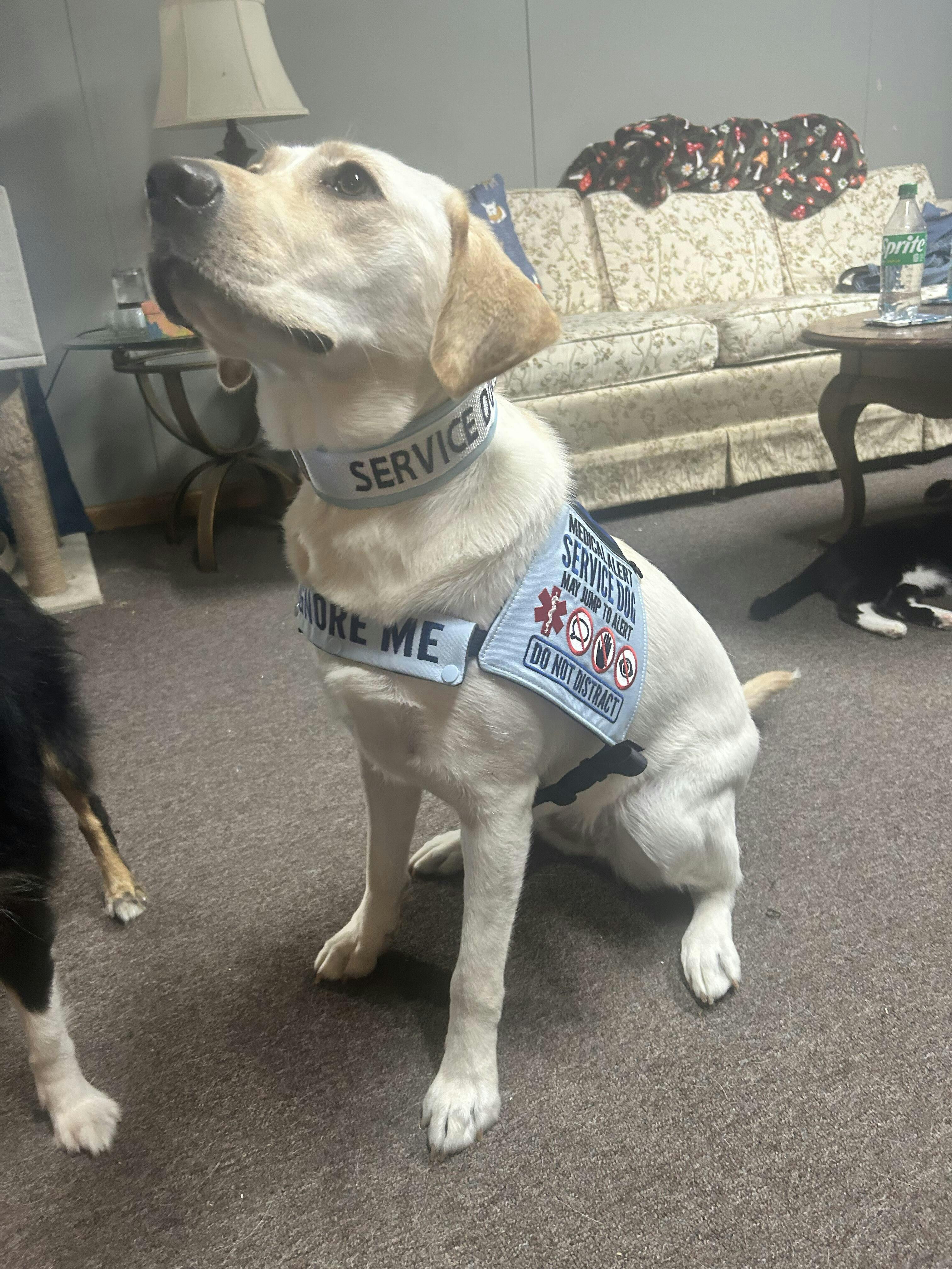 Butterfly Style Custom Embroidered Vest – PatienceandLove143