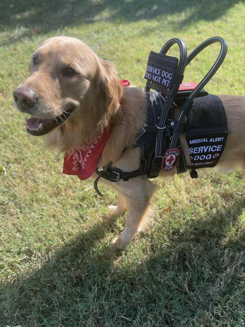 Cape Custom Embroidered – PatienceandLove143