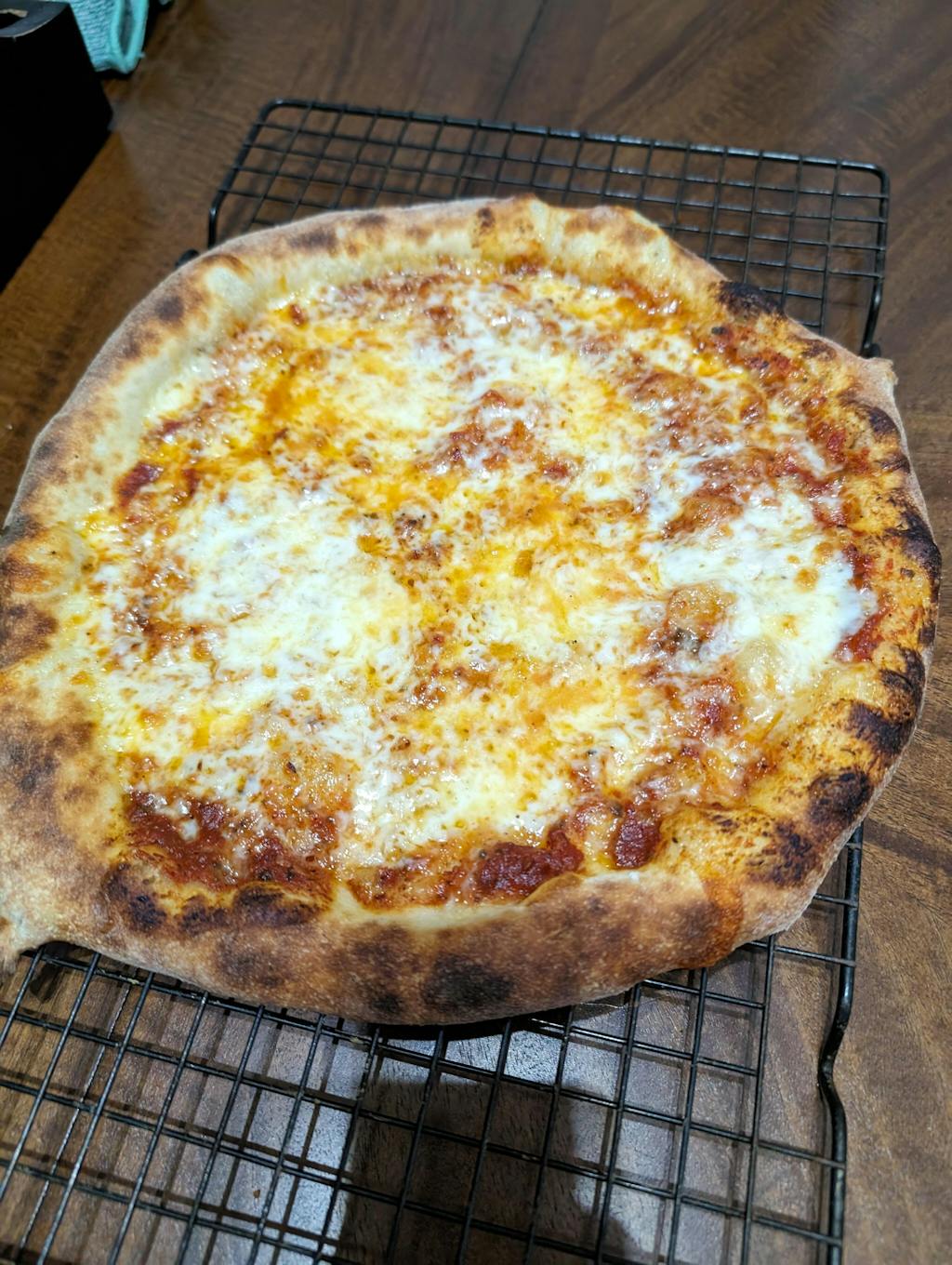 Maximus Prime Pizza Oven | Stainless Pizza Oven - Patio & Pizza Outdoor ...