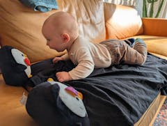 Penguin Plushie – Paul Castle Studio