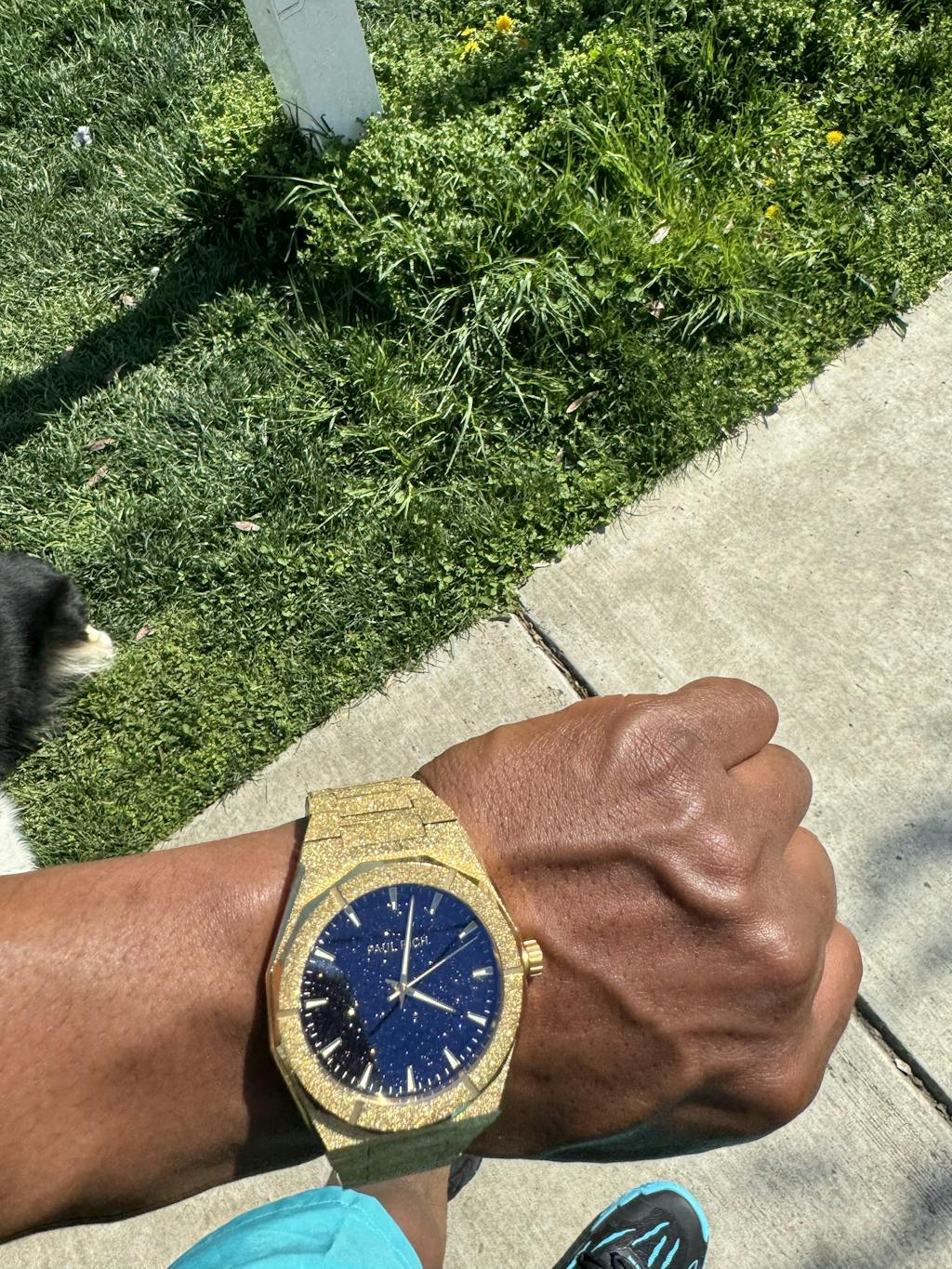 Astro Skeleton Mason Gold