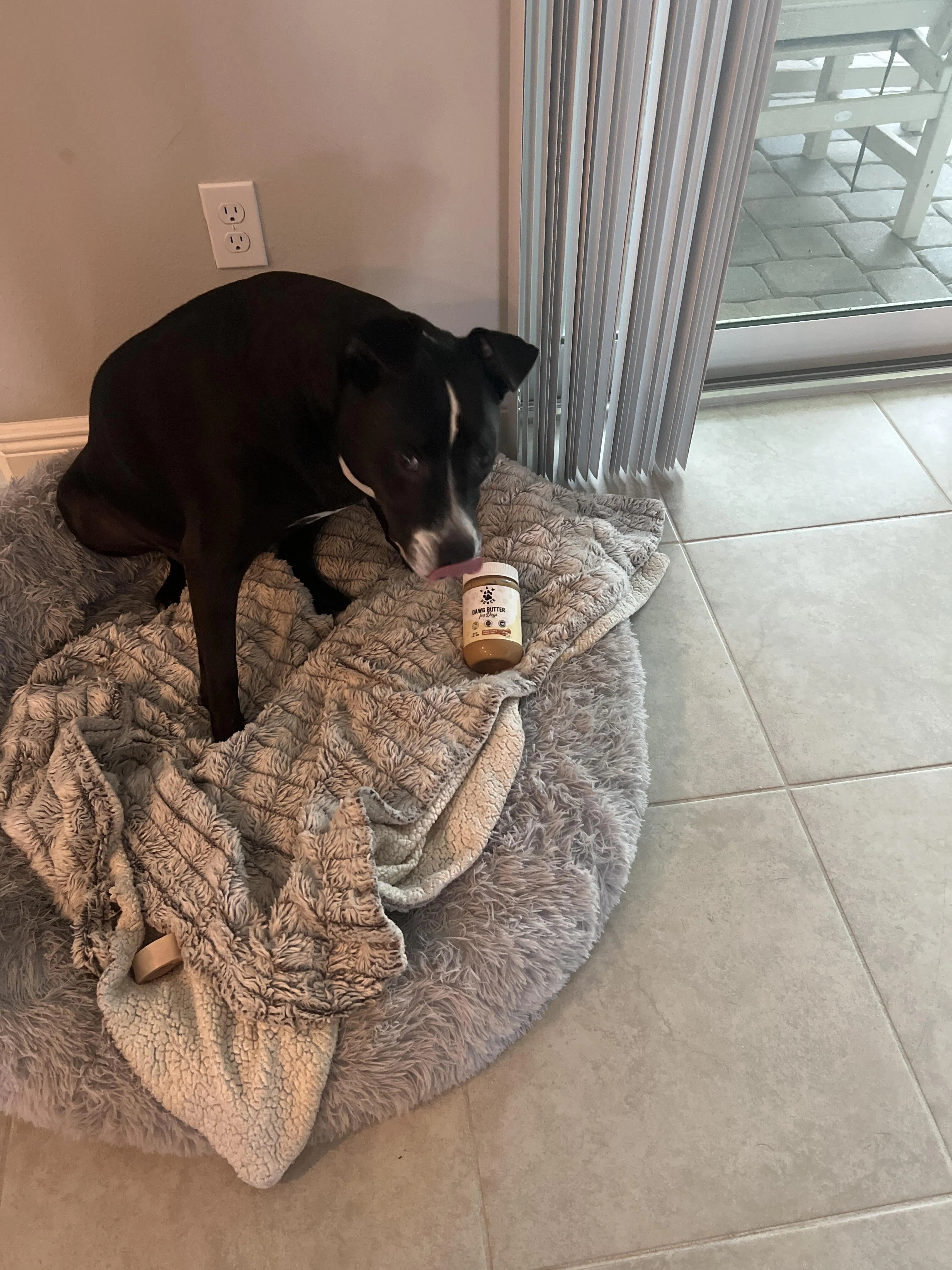Dawg Butter Original Flavor