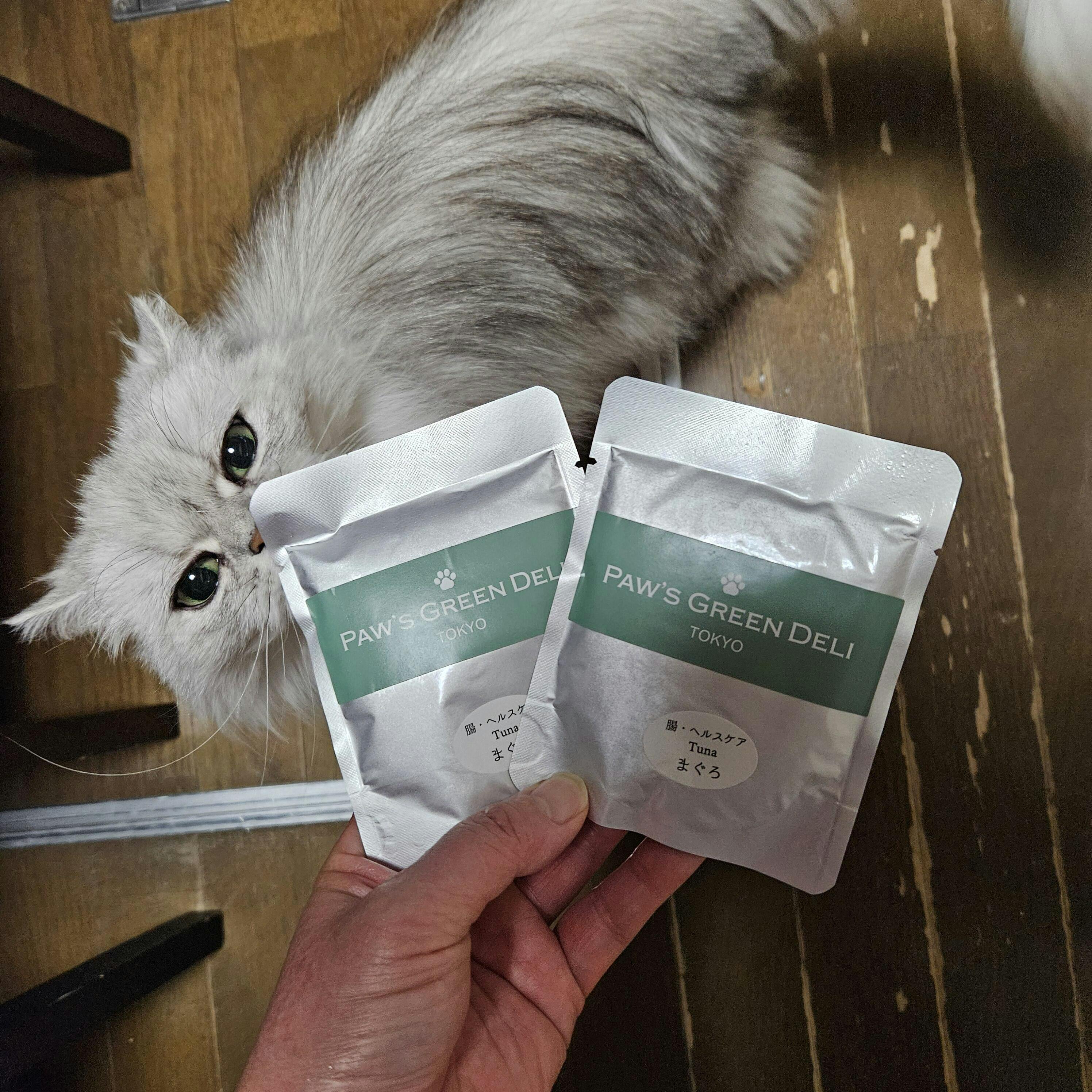 Paw's Green Deli 腸・ヘルスケアセット