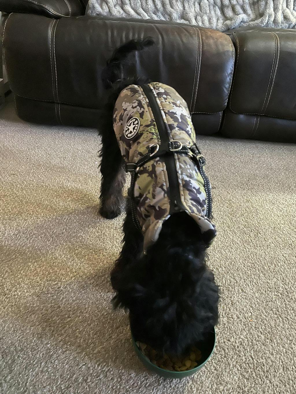 PAWBIBI SPORT™ - WATERPROOF WINTER JACKET WITH BUILT-IN HARNESS