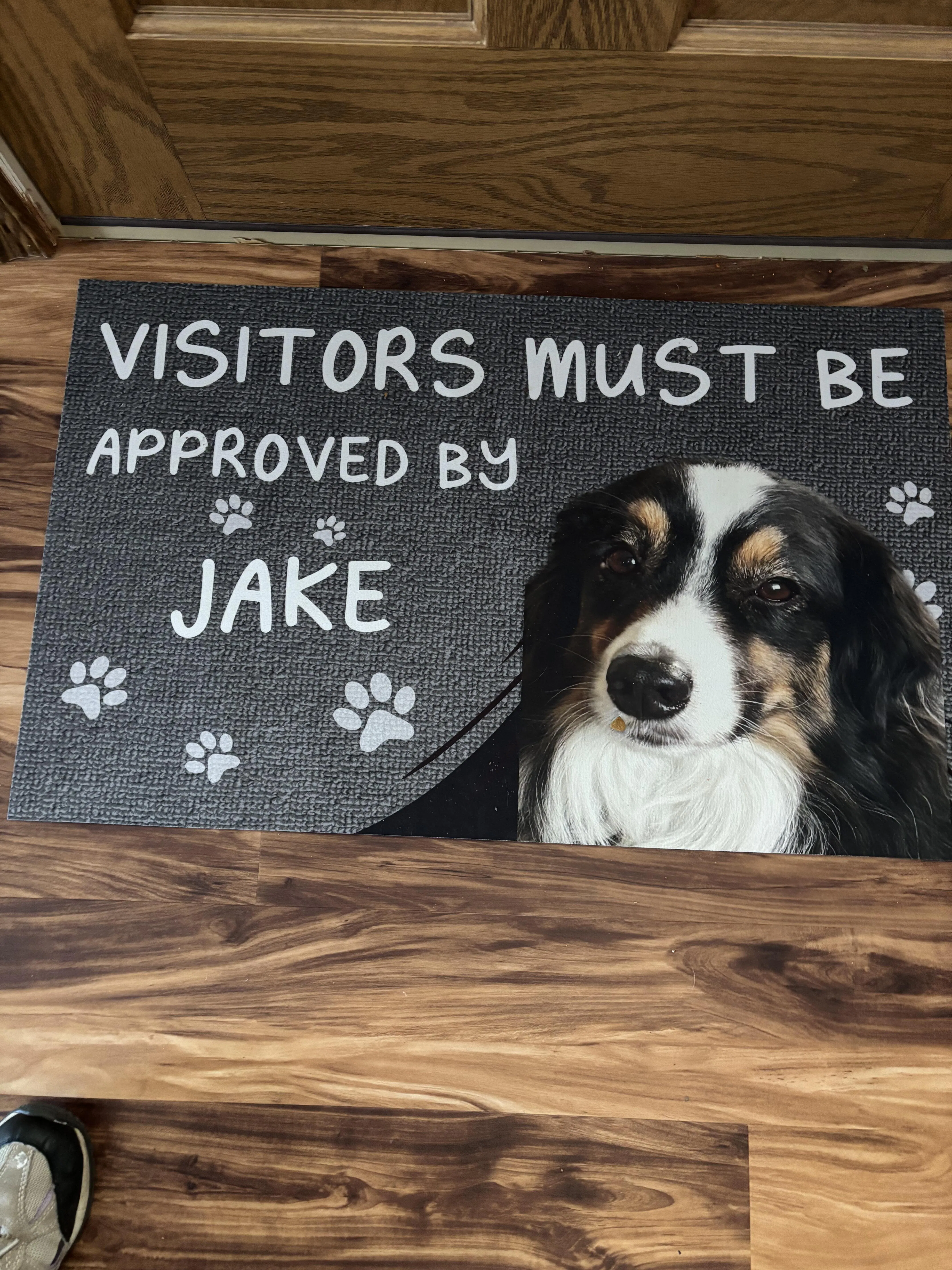 Pawfect House Reviews - Happy Customers